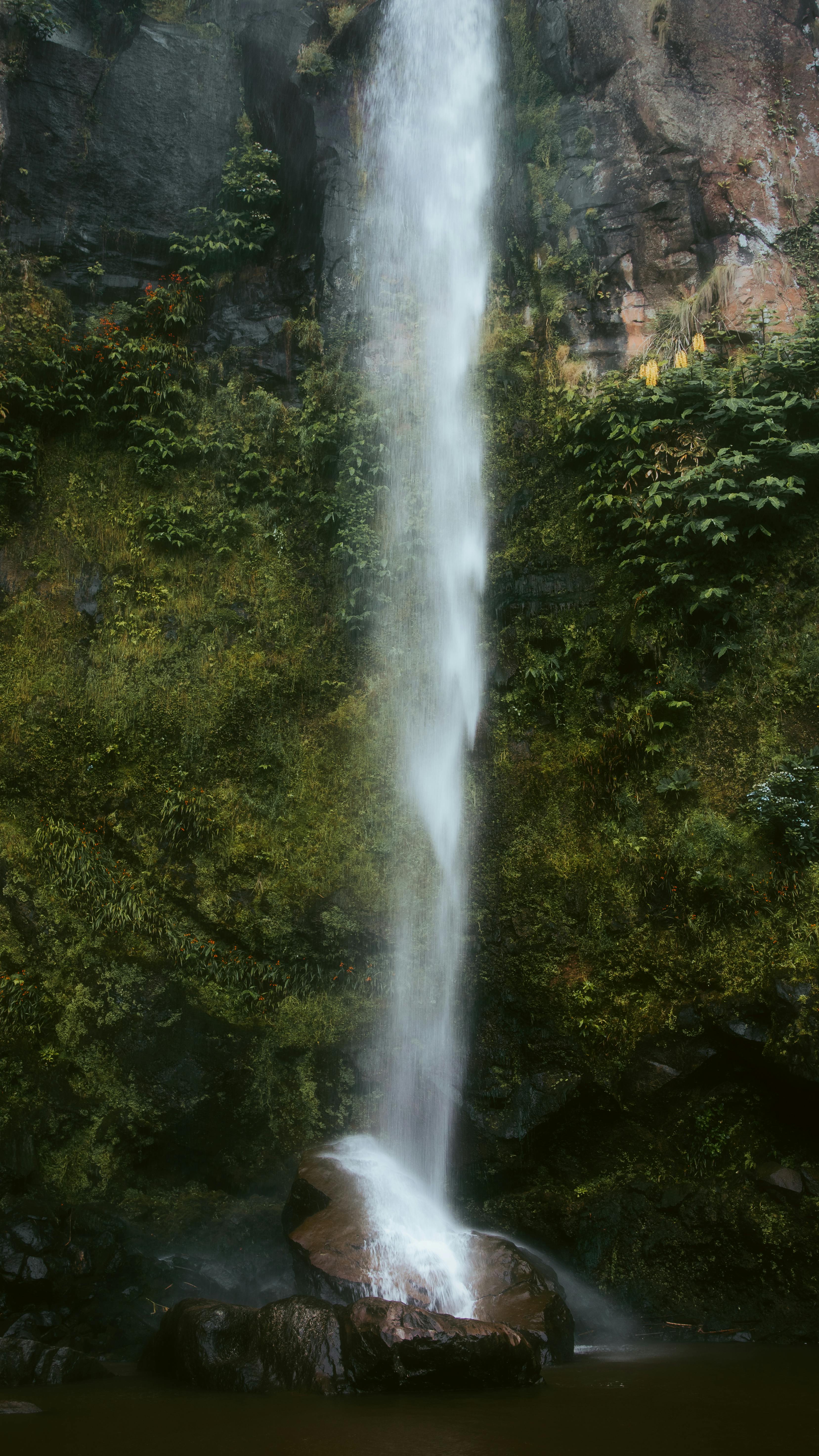 High Waterfall Falling on a Rock · Free Stock Photo