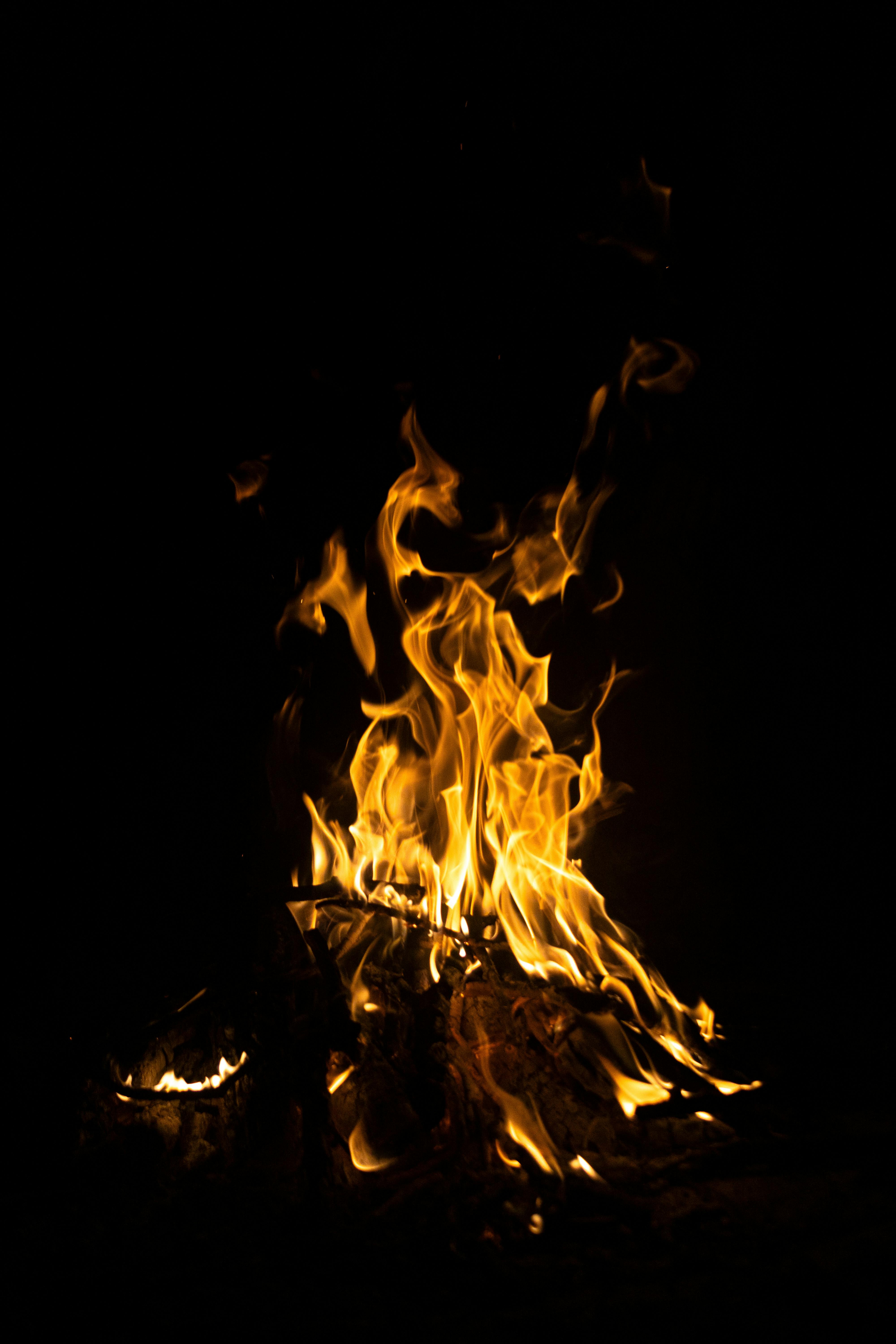 A Bonfire in the Dark · Free Stock Photo