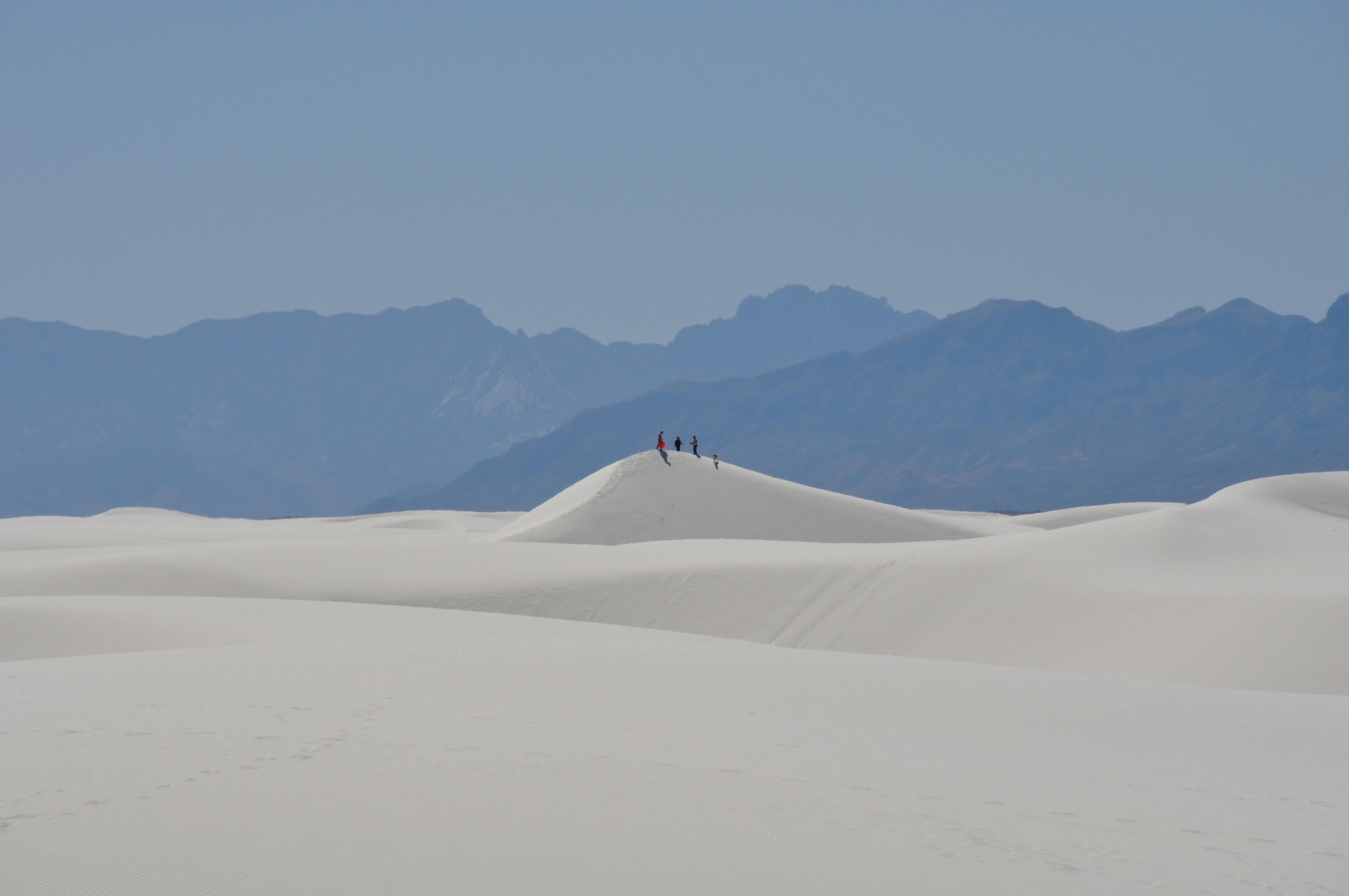 Beautiful Chillies Photos, Download The BEST Free Beautiful Chillies ...