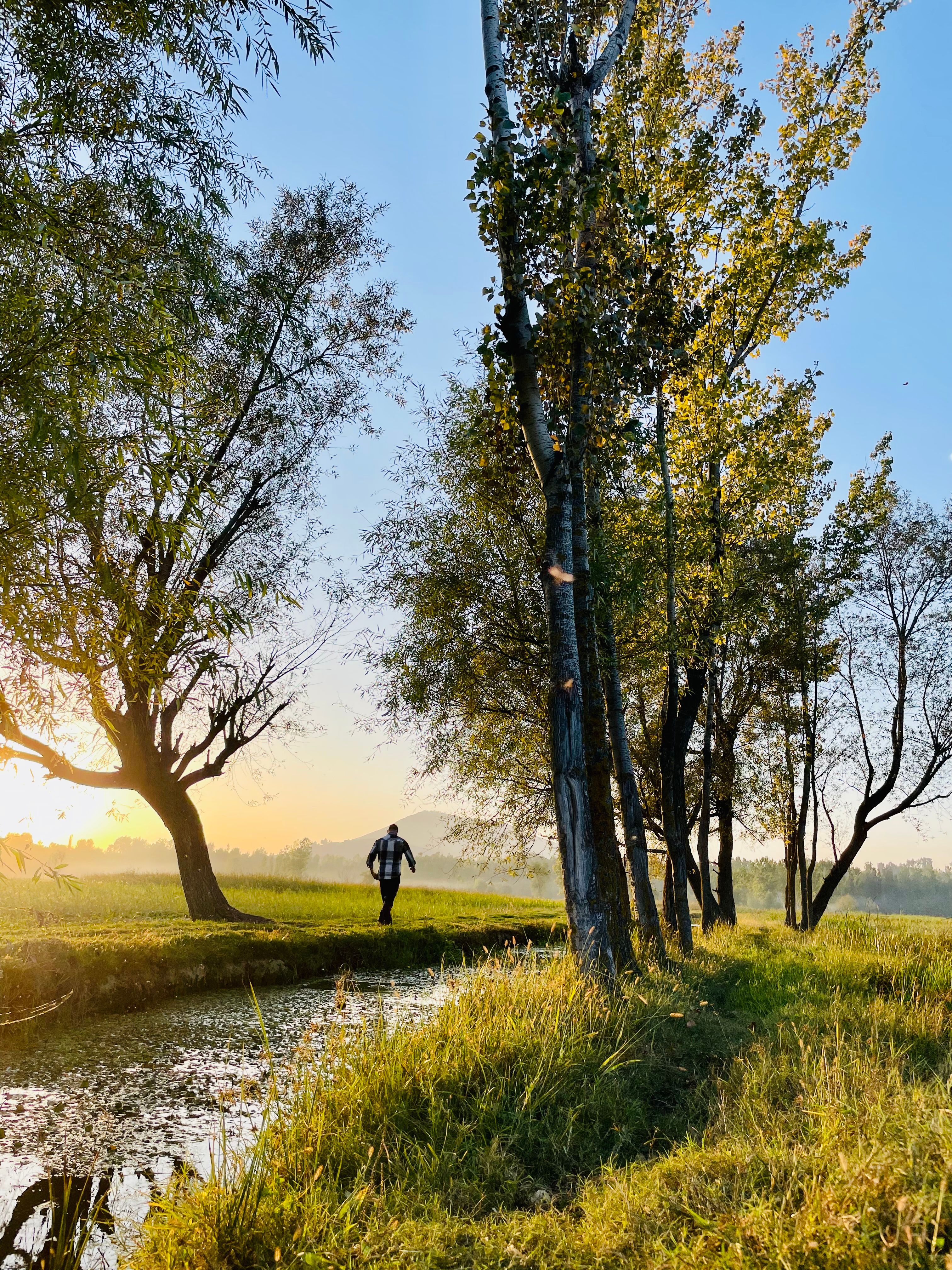Man Walking at a Stream · Free Stock Photo