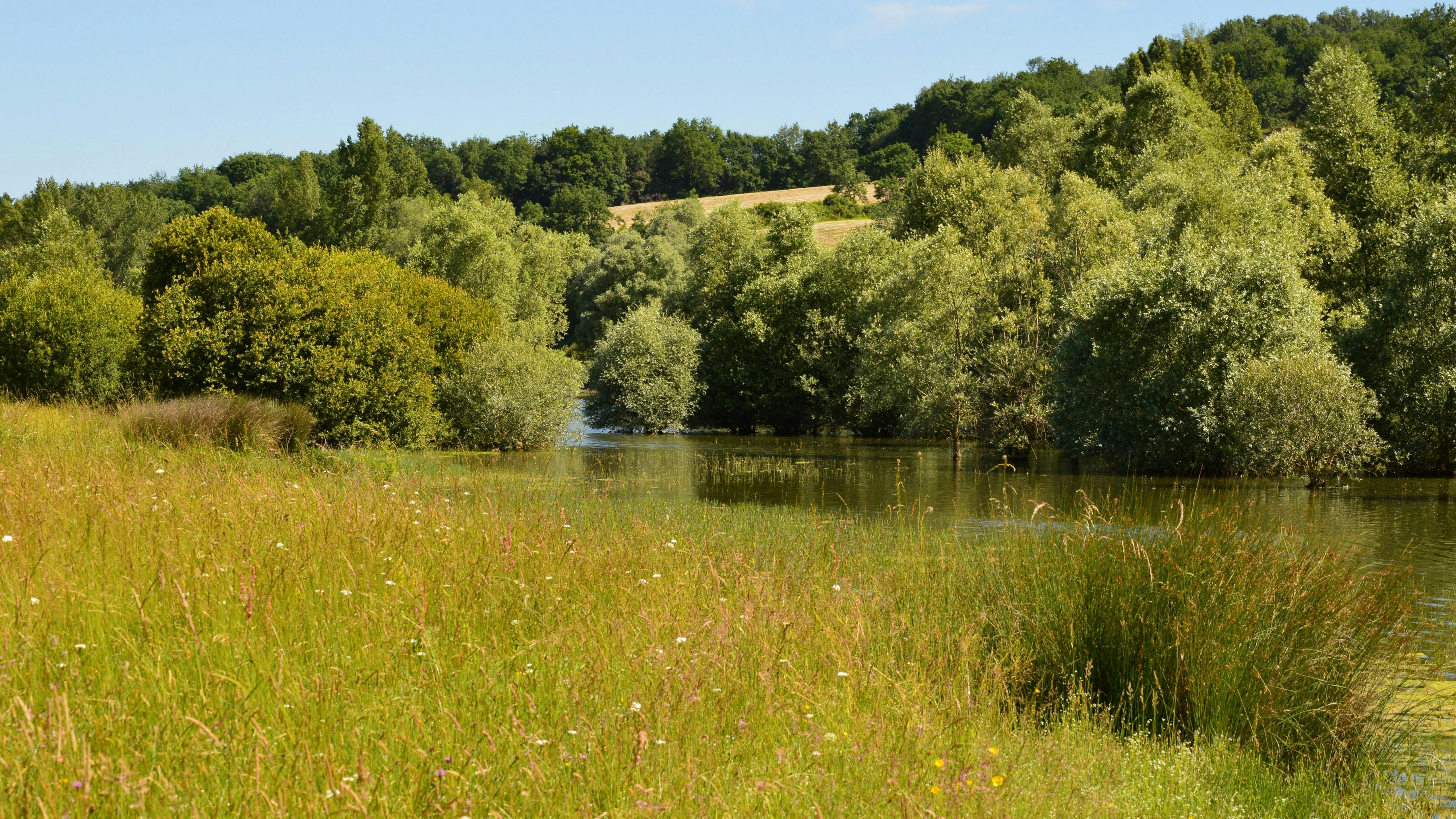Green Grass Field Near Lake · Free Stock Photo