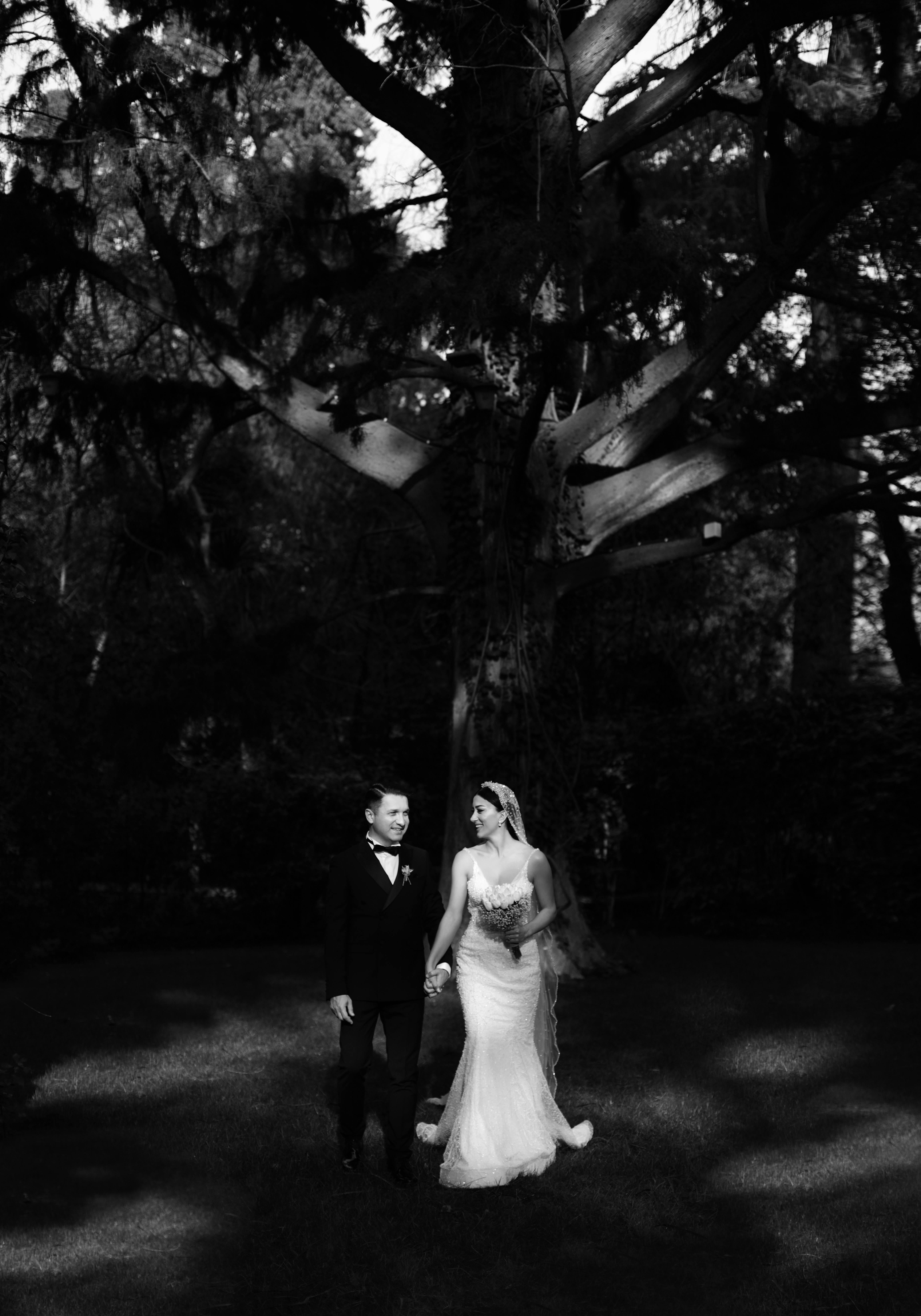 Bride and Groom Standing Near Tree · Free Stock Photo