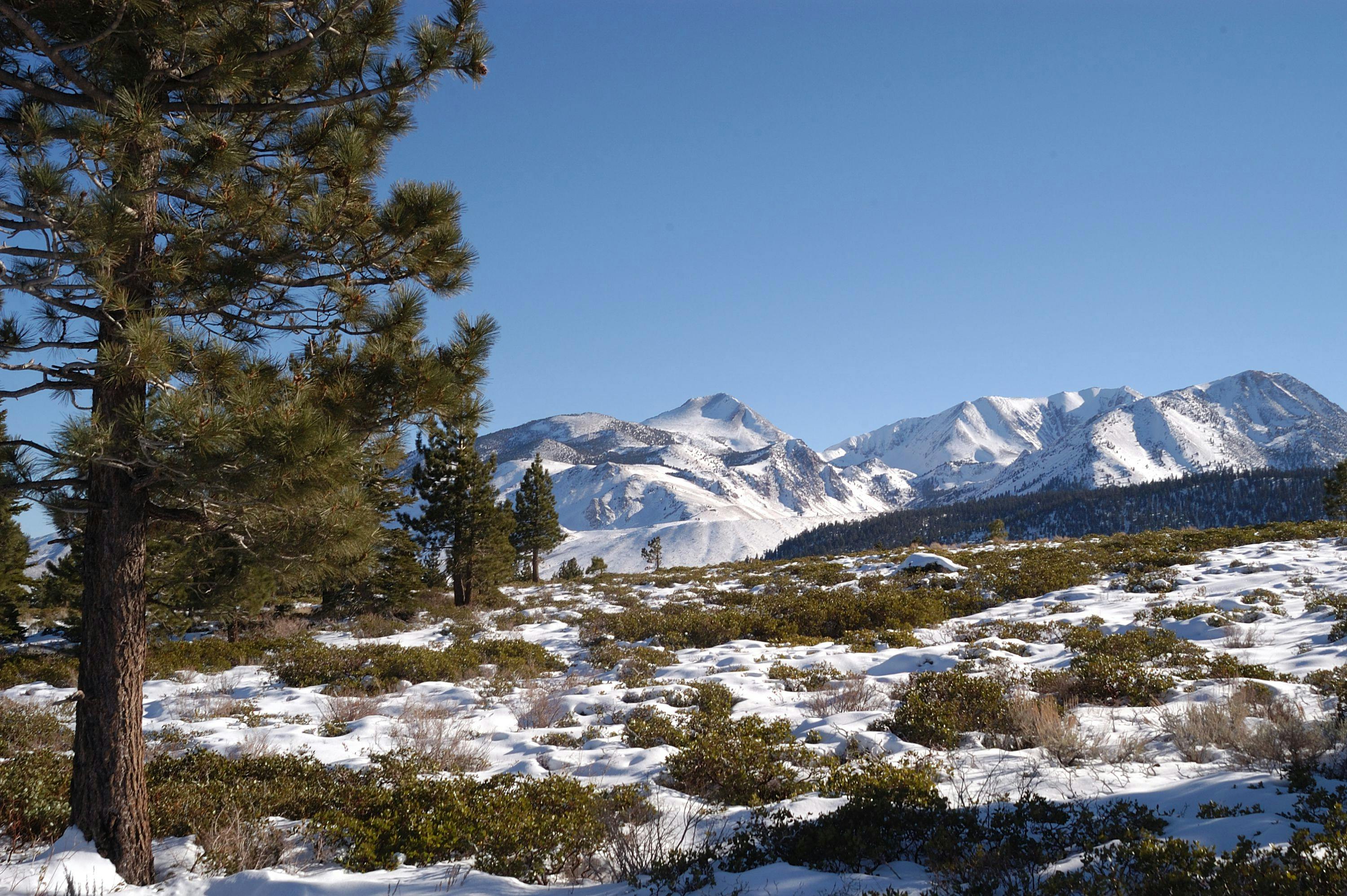 A Snow Covered Field with Mountains in the Background · Free Stock Photo