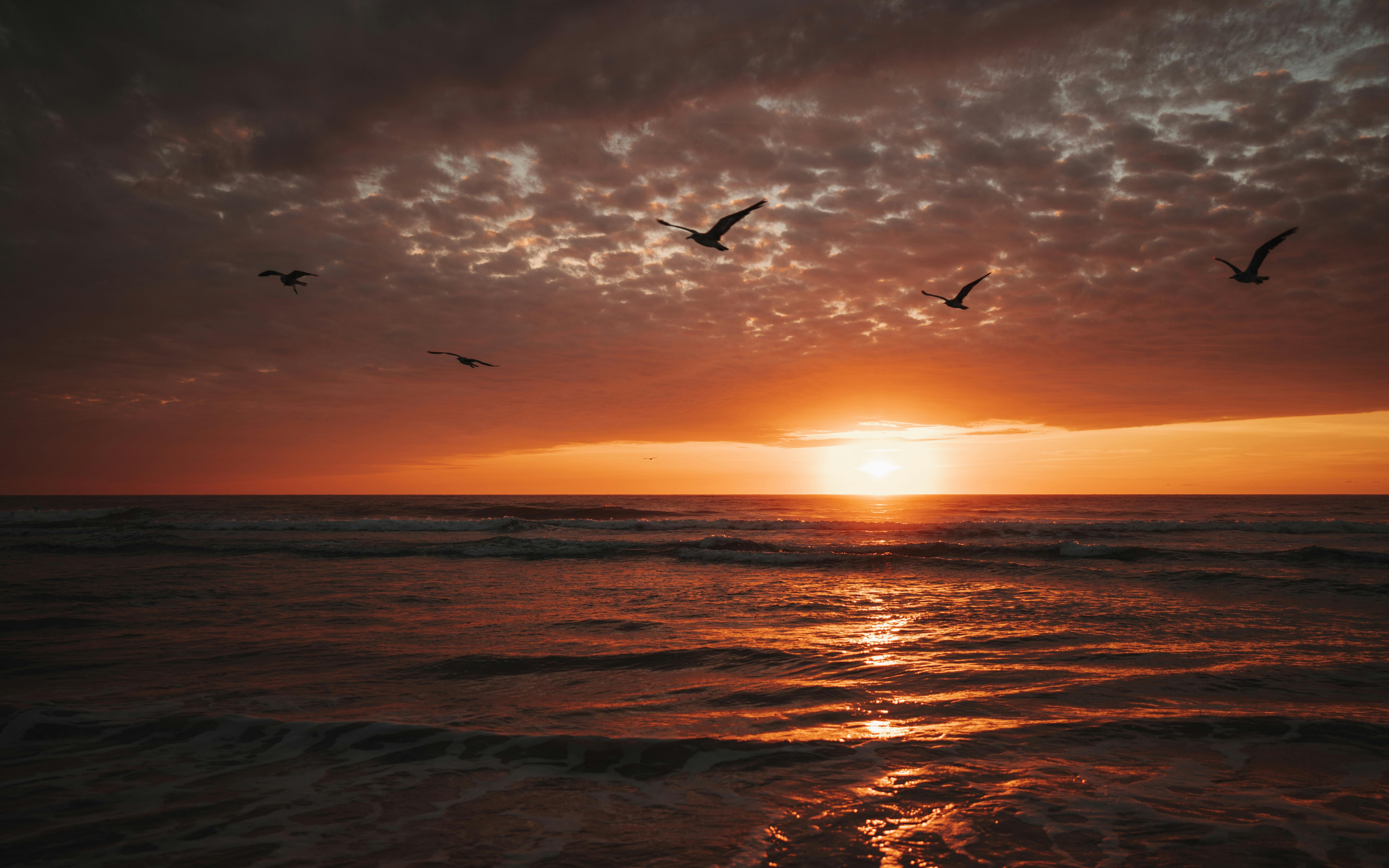 Scenic Sunset over Sea · Free Stock Photo