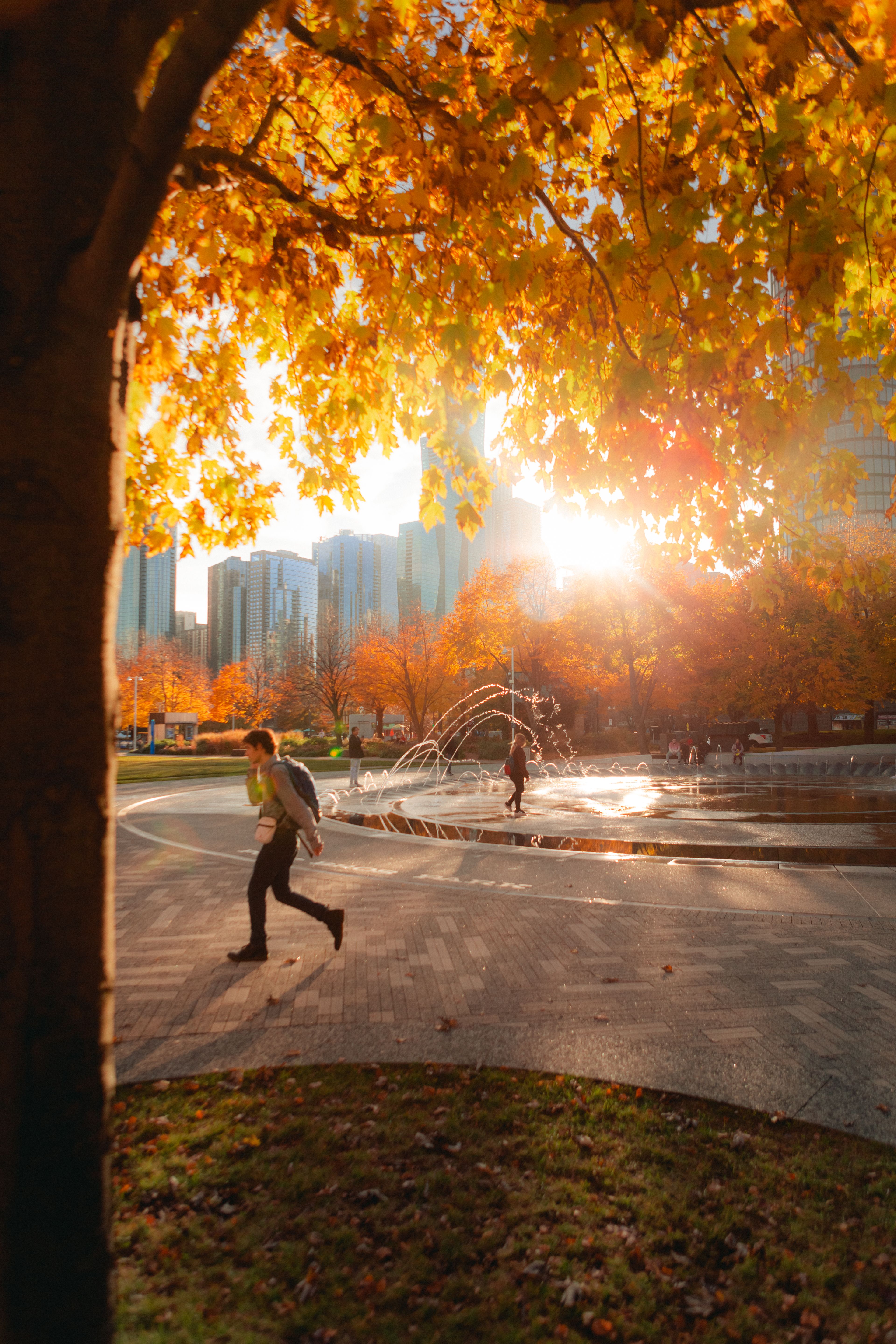 People Walking at a Park during Fall · Free Stock Photo