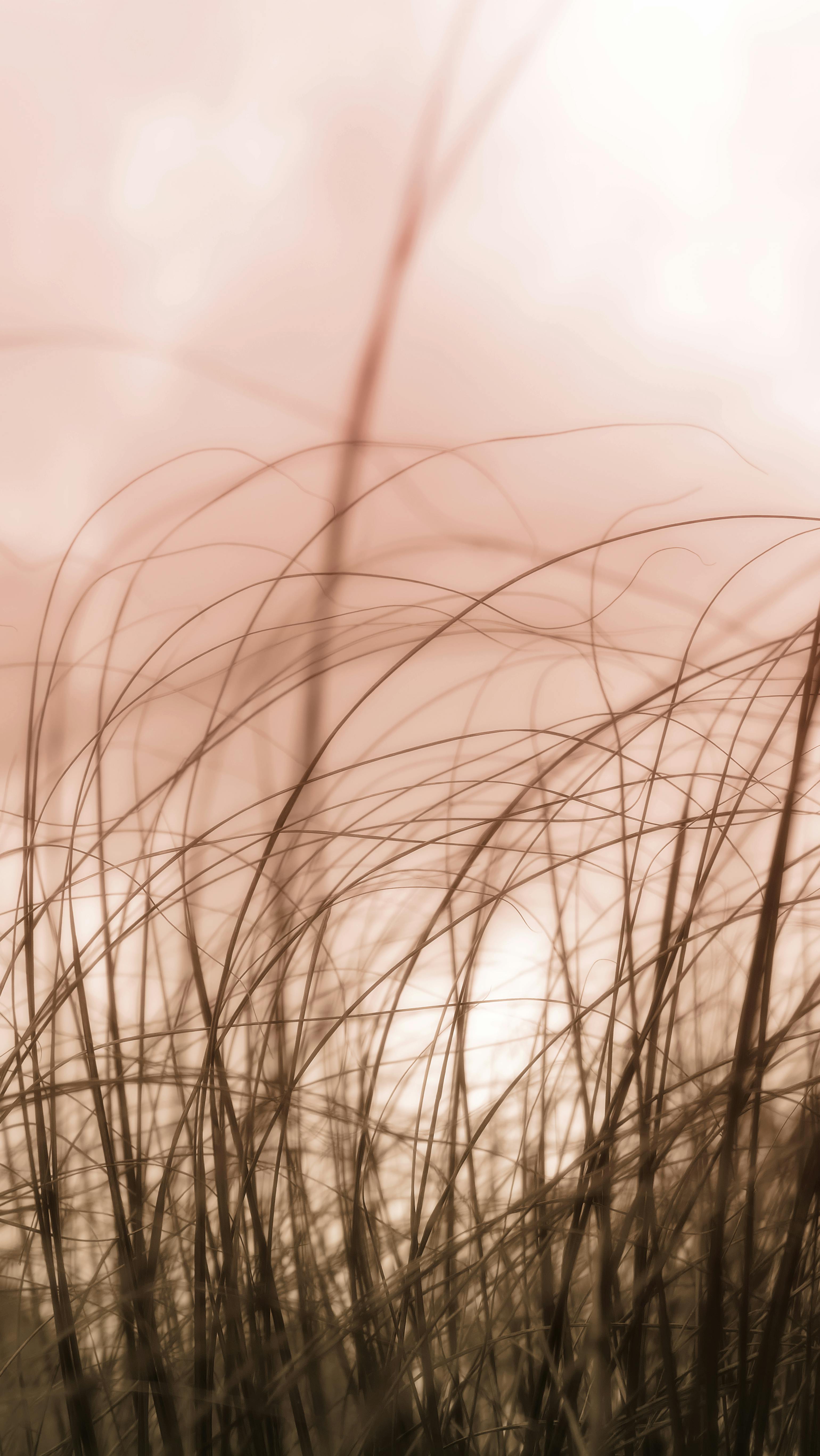 Vanilla Sunset Photos, Download Free Vanilla Sunset Stock Photos & HD ...