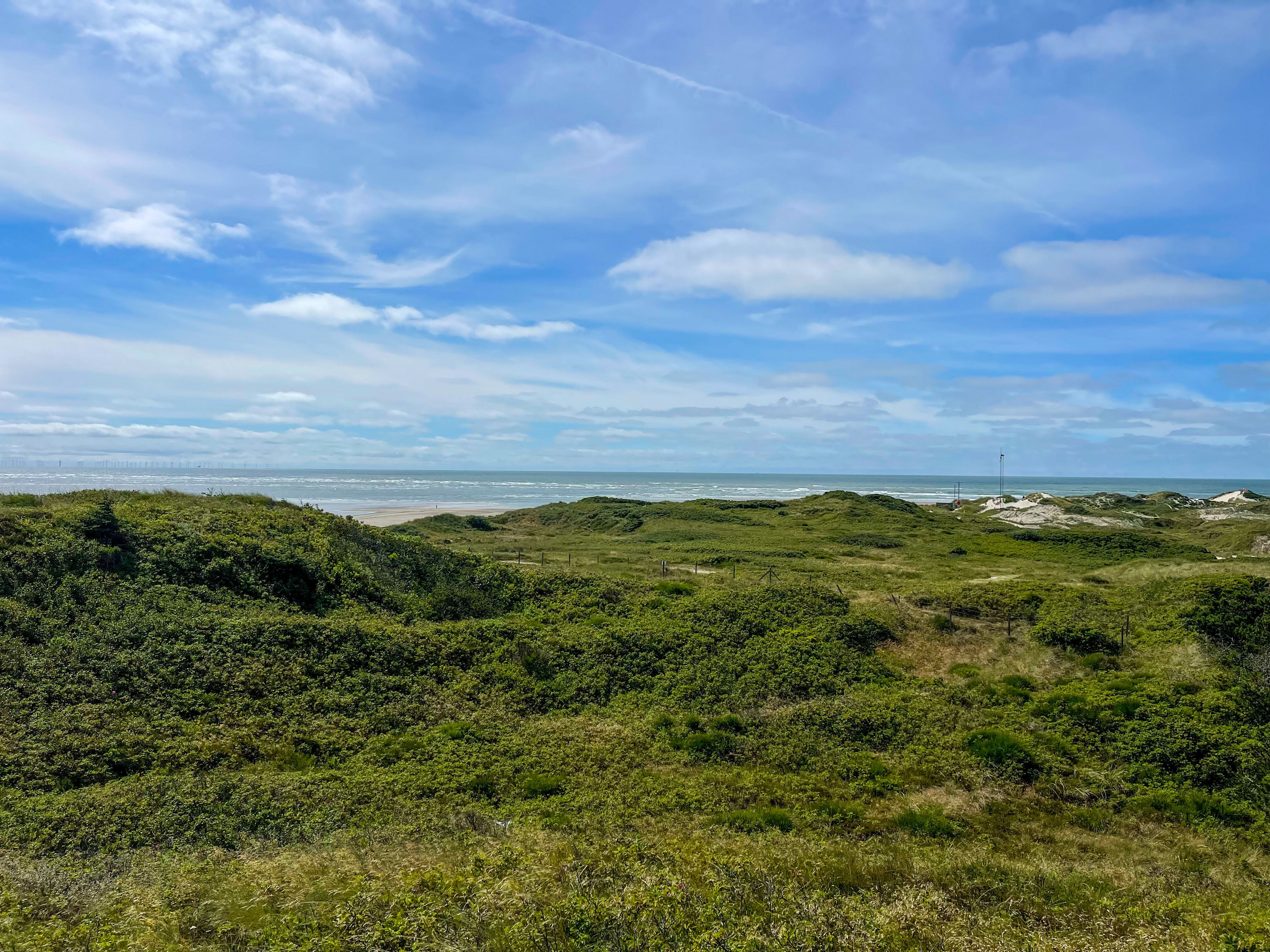 Green Land at Sea Beach · Free Stock Photo