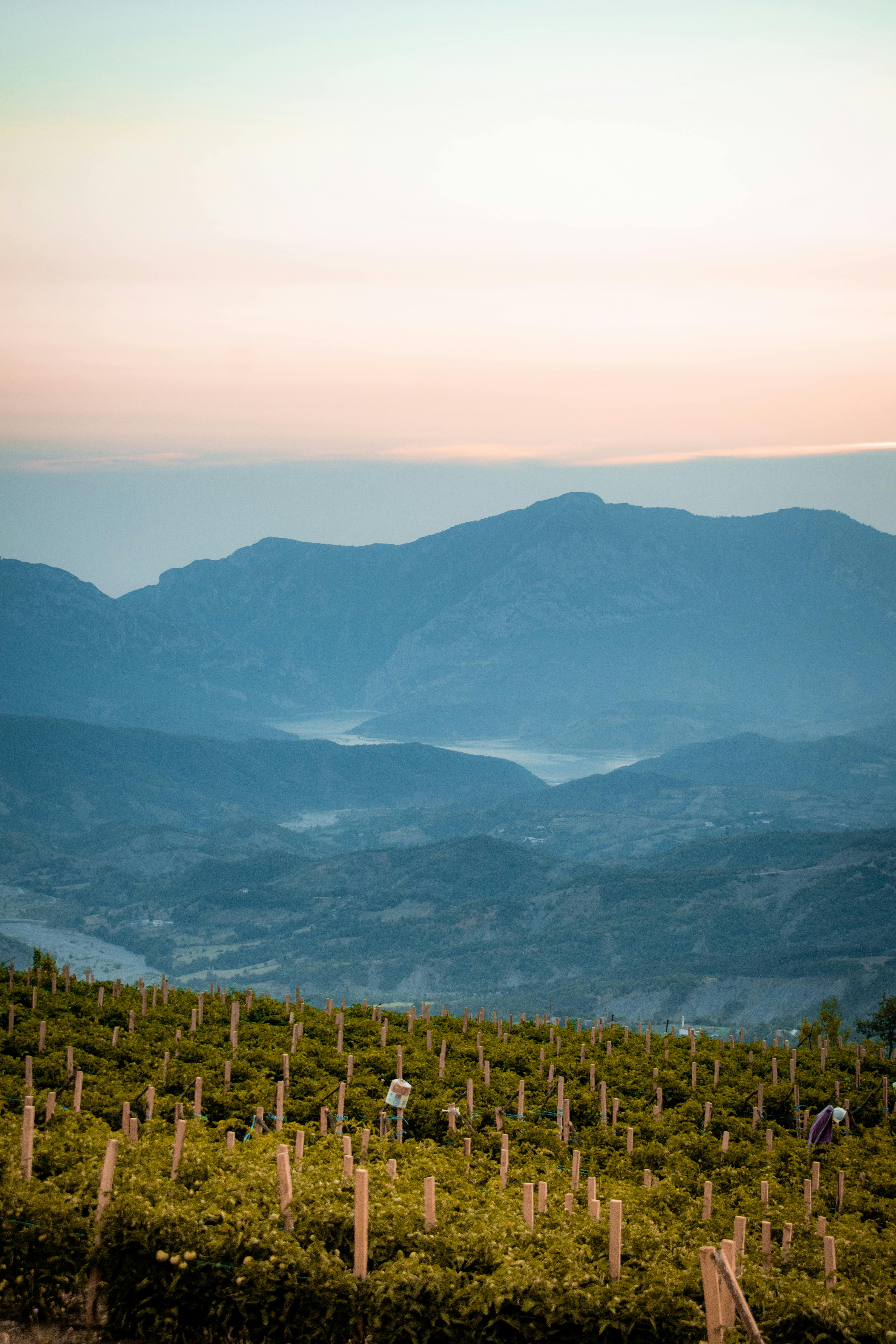 Scenic view from the top of Murrizi village · Free Stock Photo