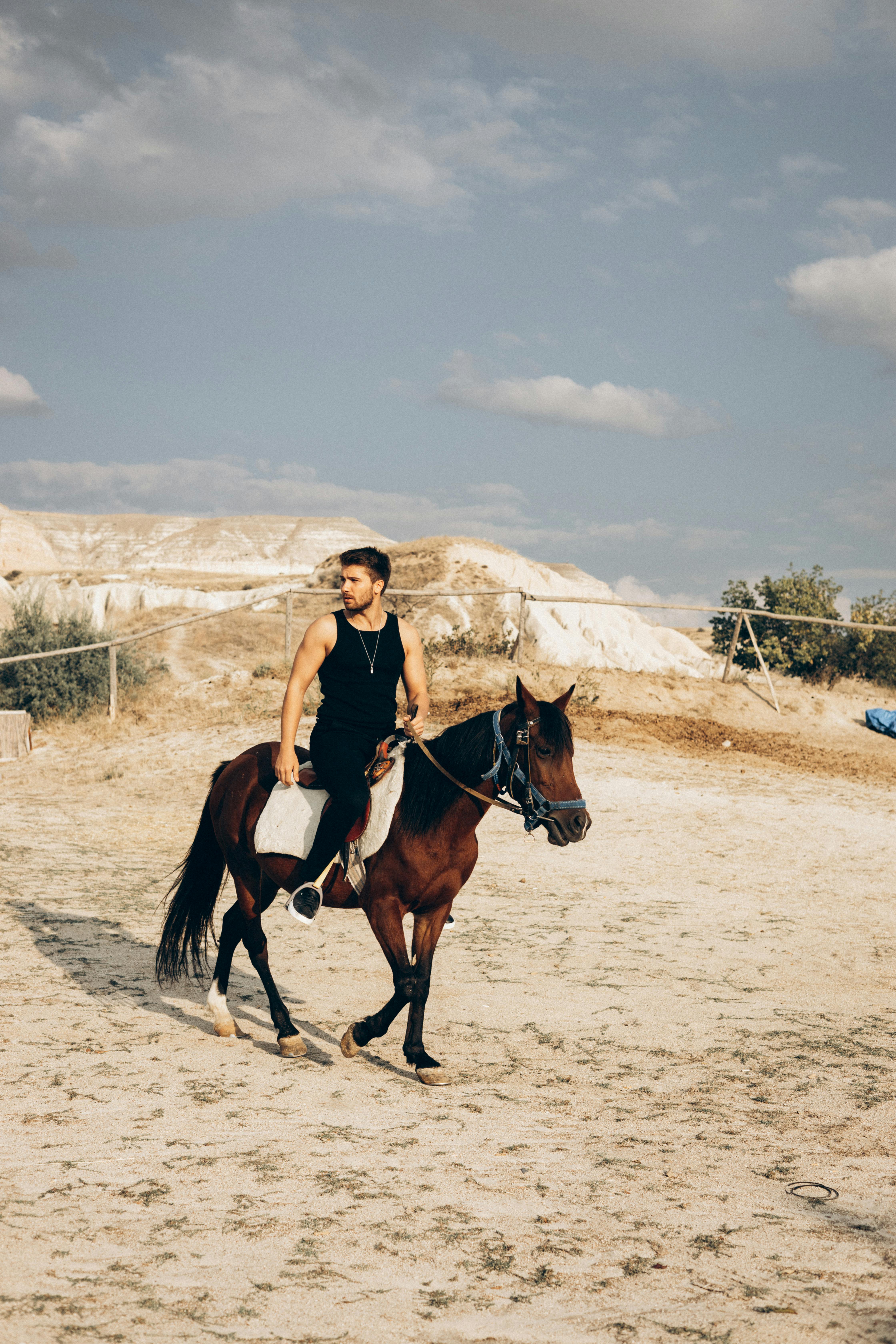 A Man in a Tank Top Riding a Brown Horse · Free Stock Photo