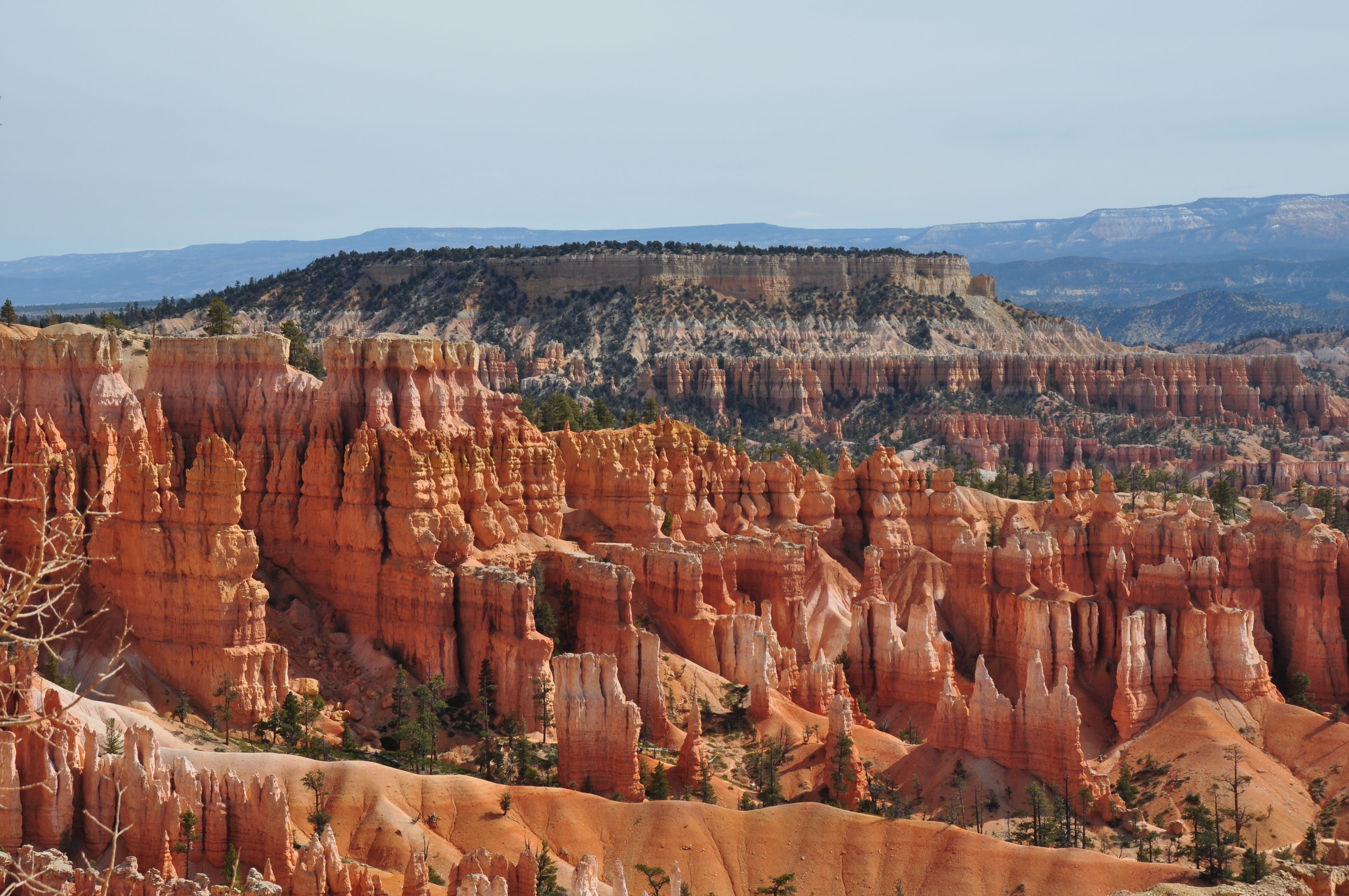 Hoodoos in Bryce Canyon National Park in Utah, USA · Free Stock Photo