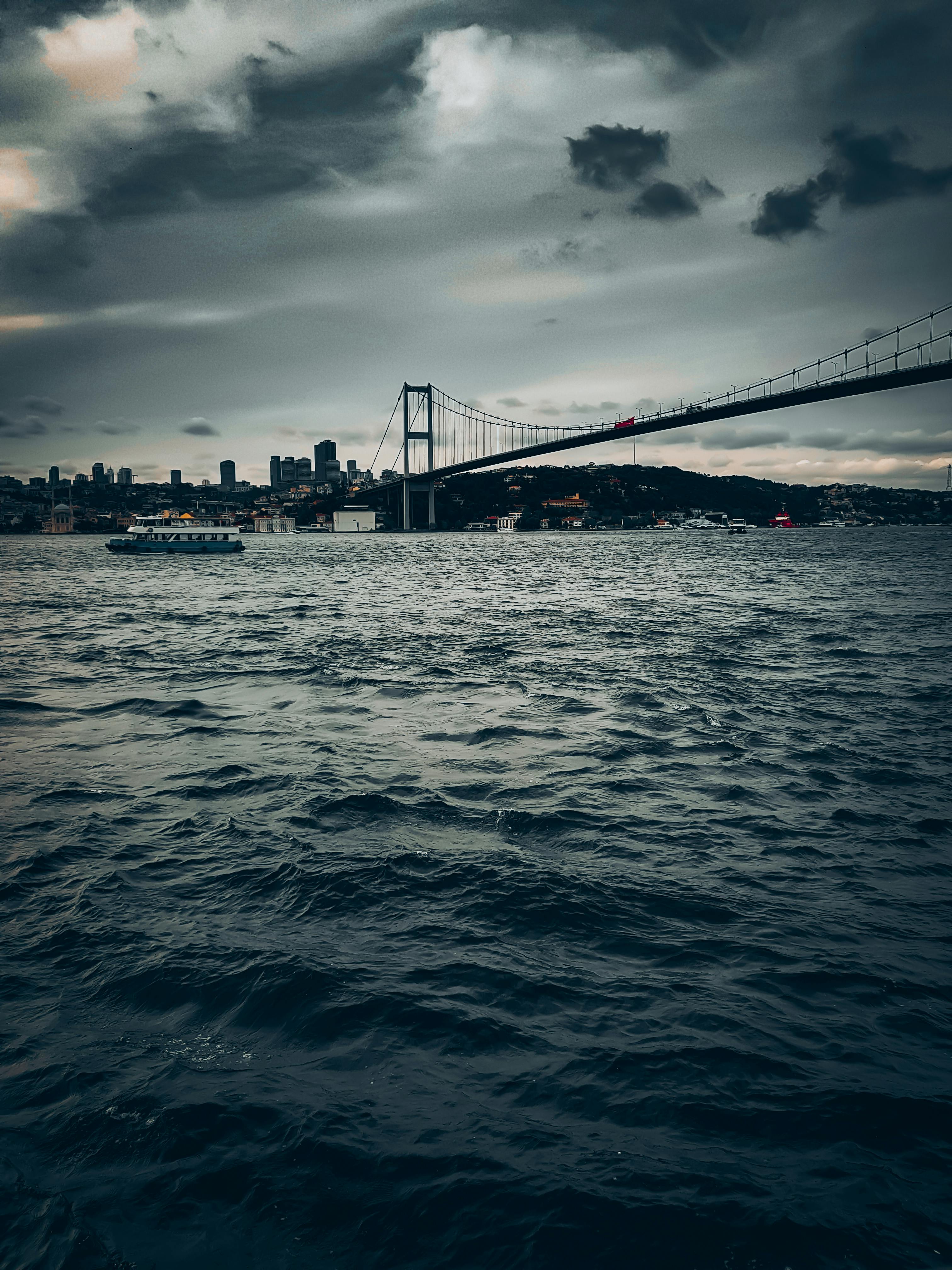 Suspension Bridge in Bay · Free Stock Photo