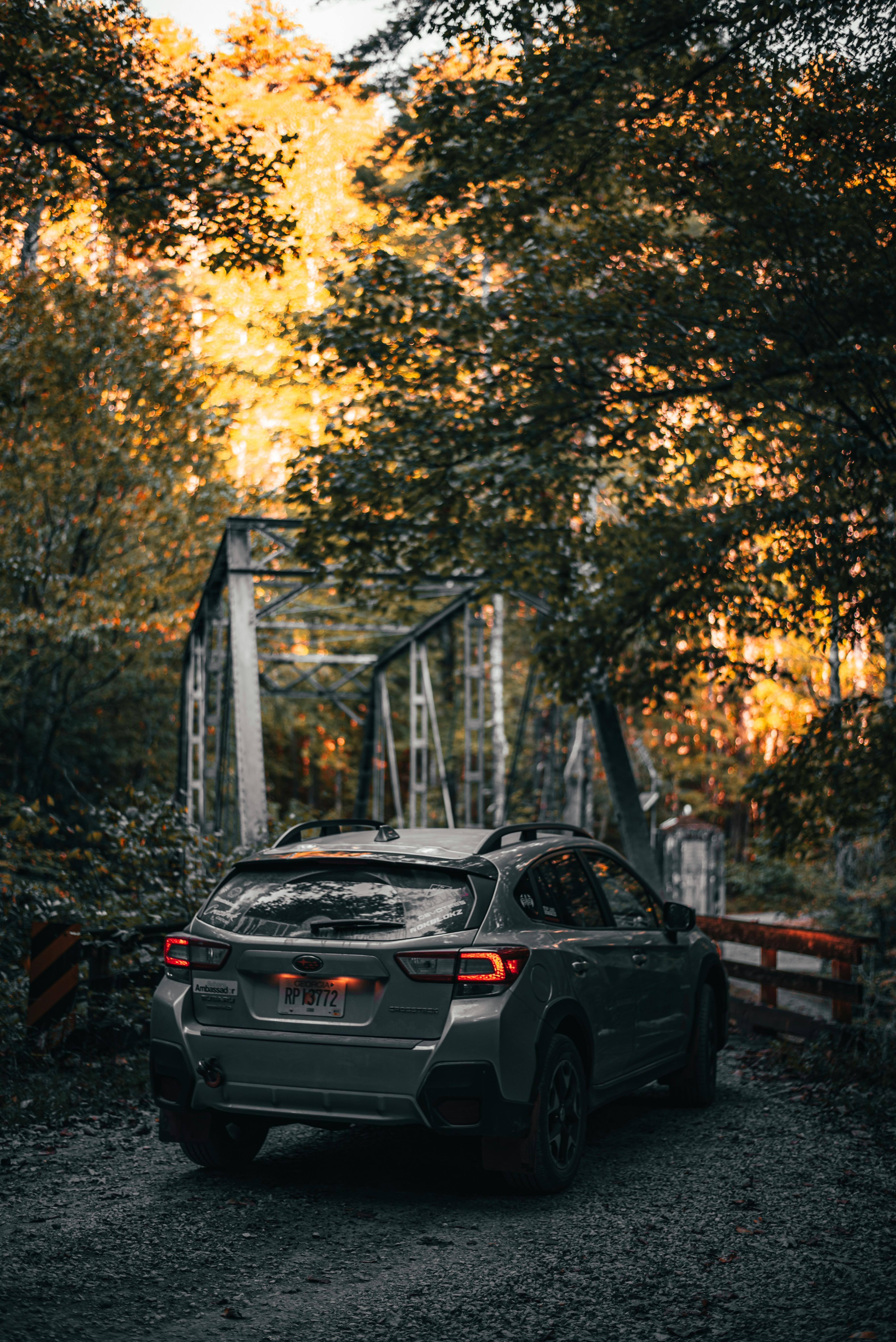 Car in Forest Near Bridge · Free Stock Photo