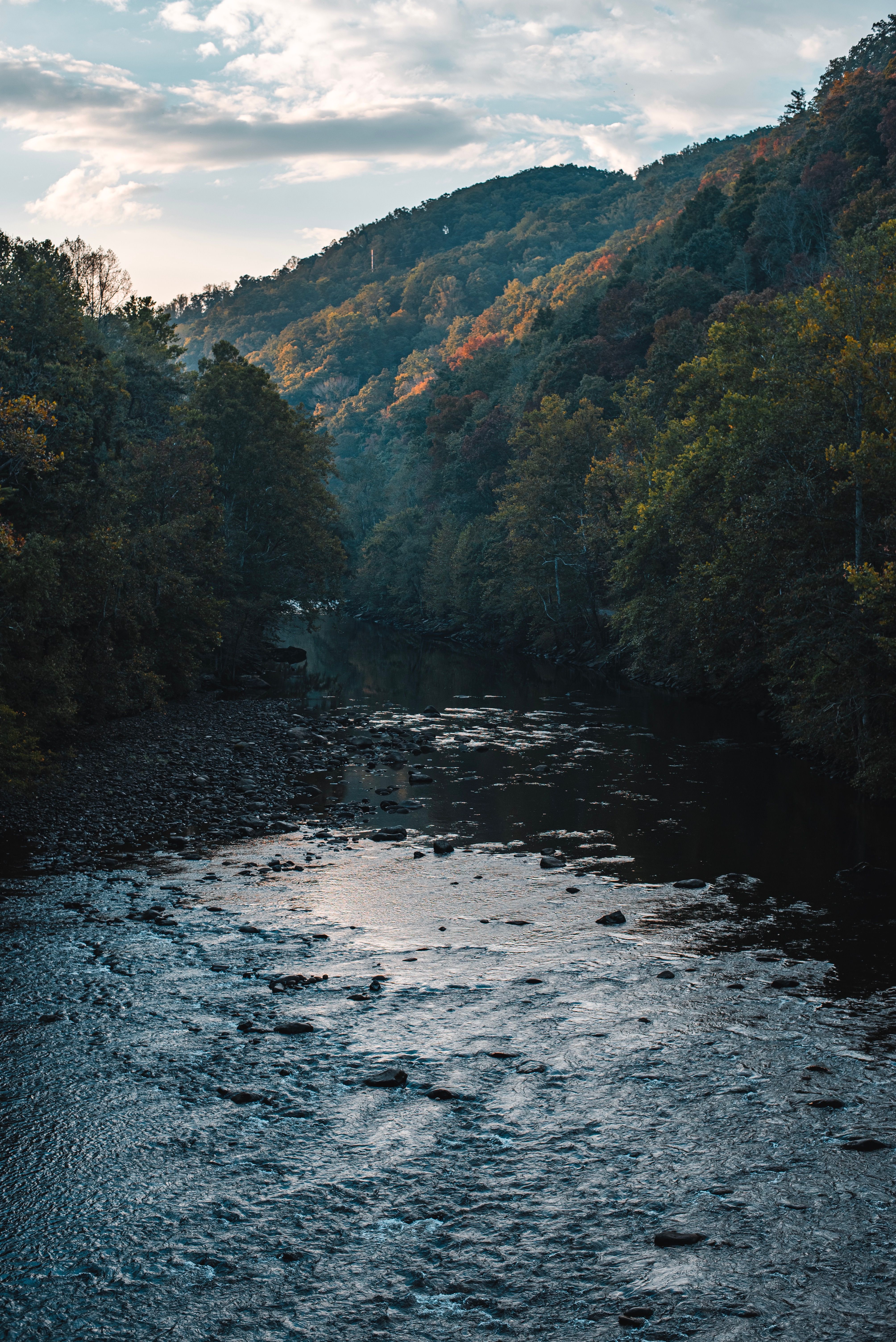 A River Between the Mountains with Trees · Free Stock Photo