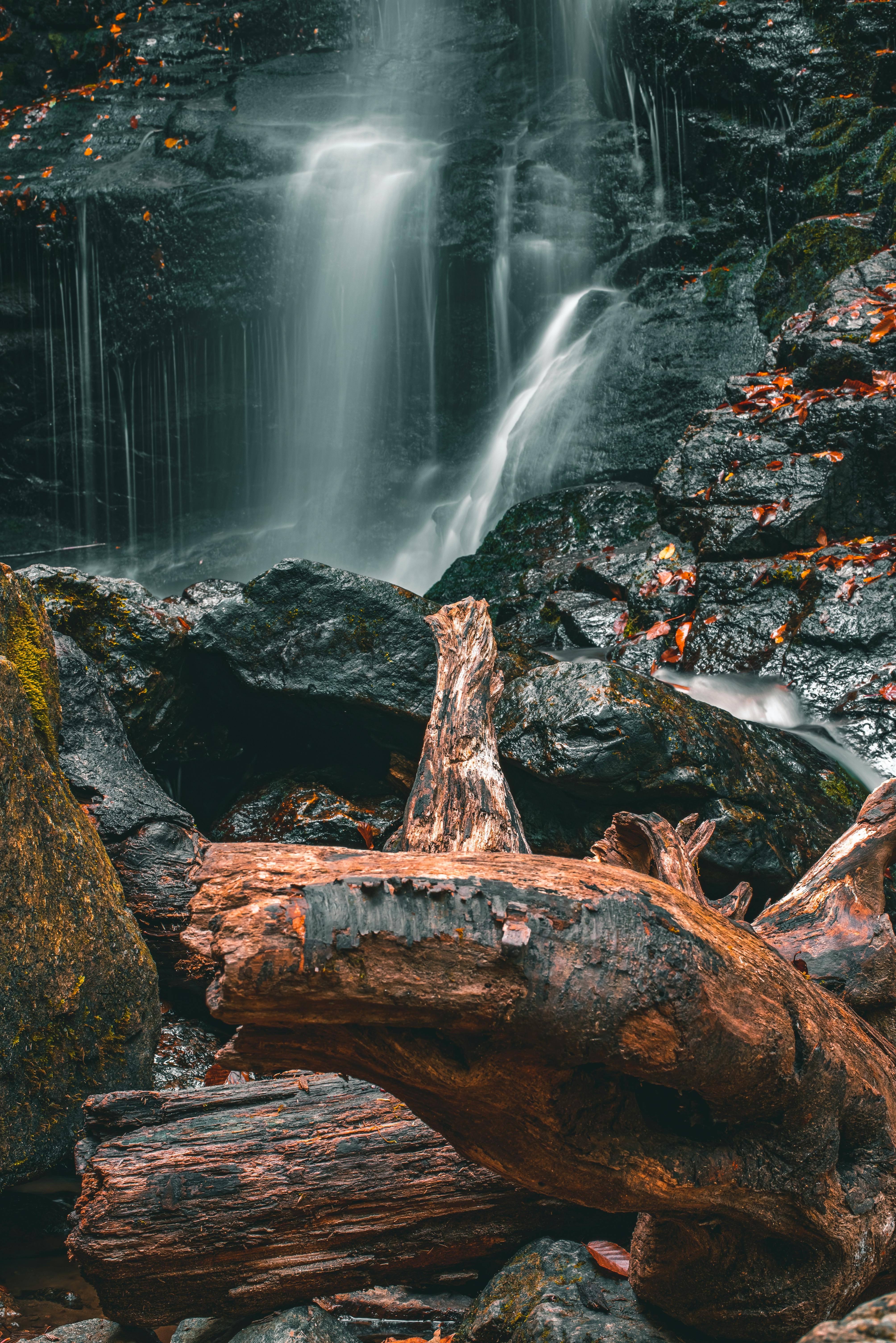 Tree Logs Near Waterfalls · Free Stock Photo