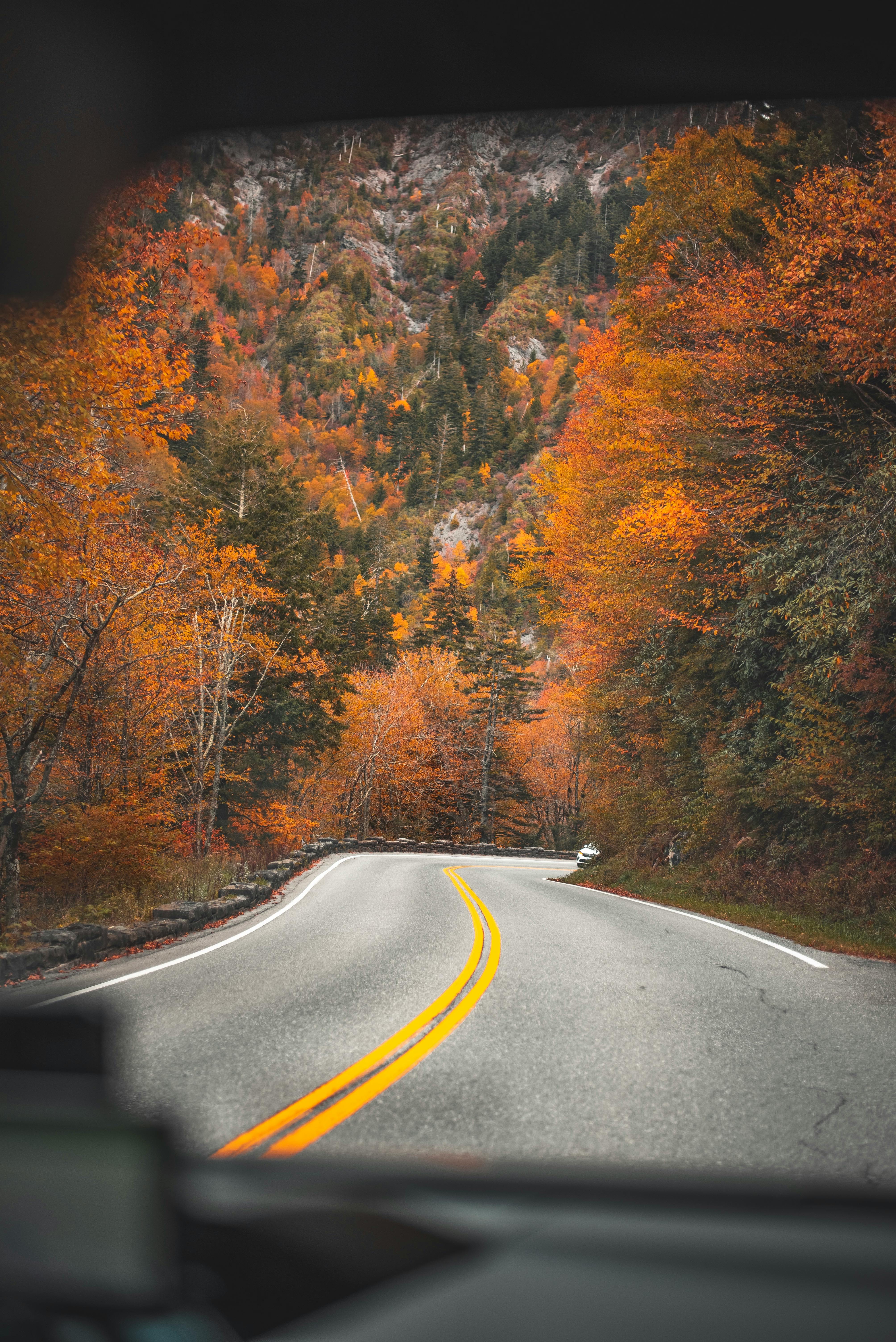 Photo of a Road in Autumn · Free Stock Photo