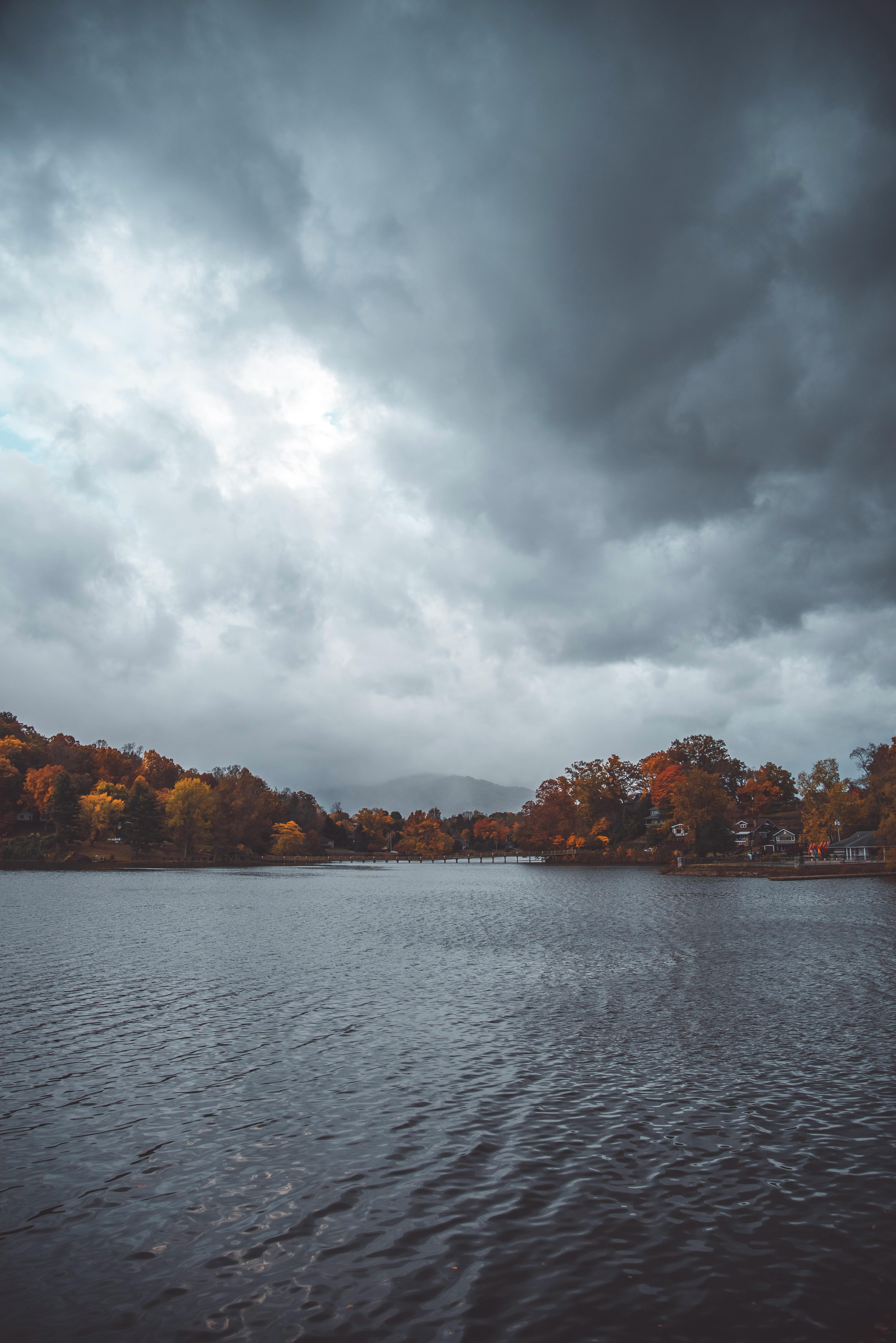 Gray Sky over Trees and a Lake · Free Stock Photo