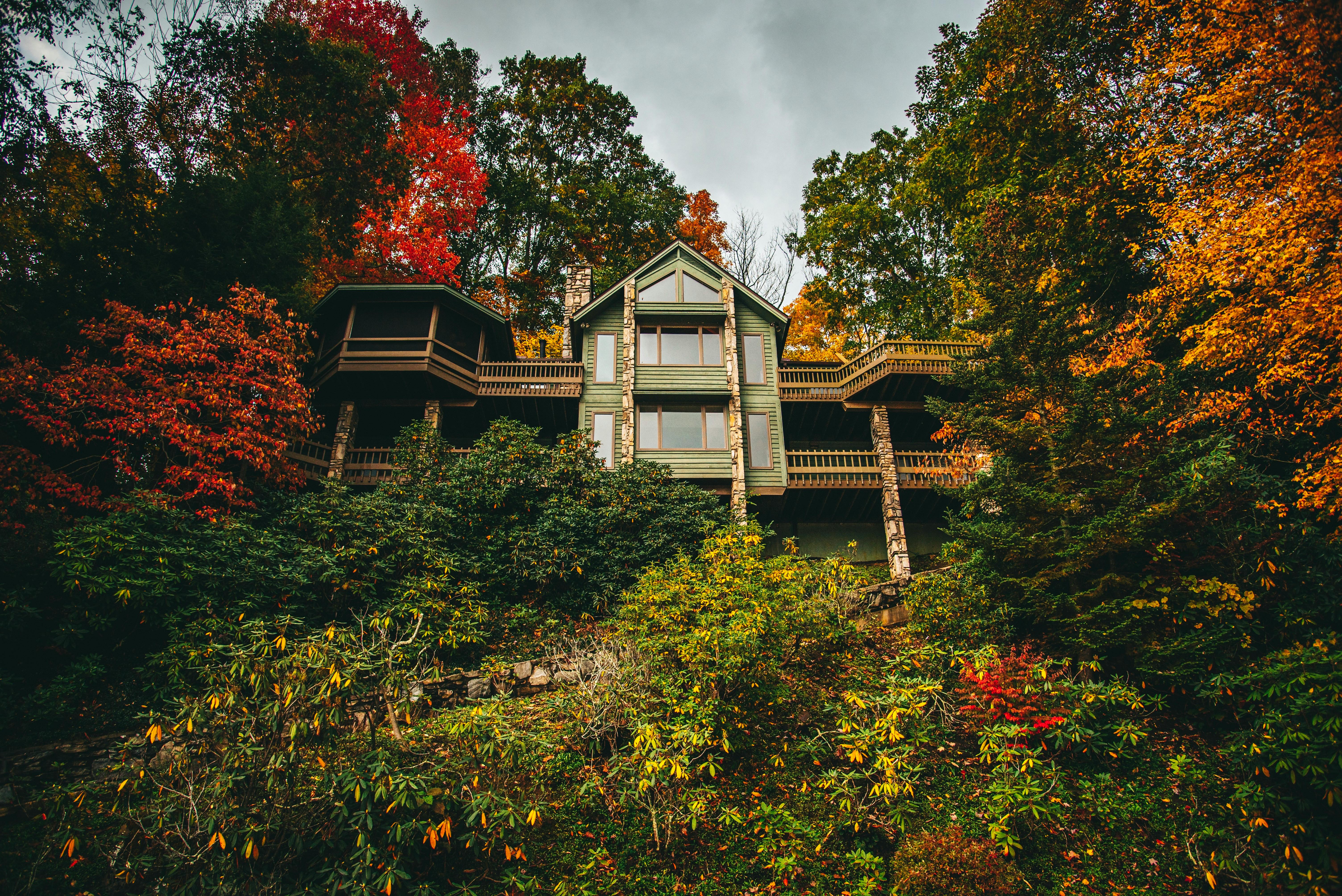 Low-Angle Shot of a House on Mountain Surrounded by Trees · Free Stock ...