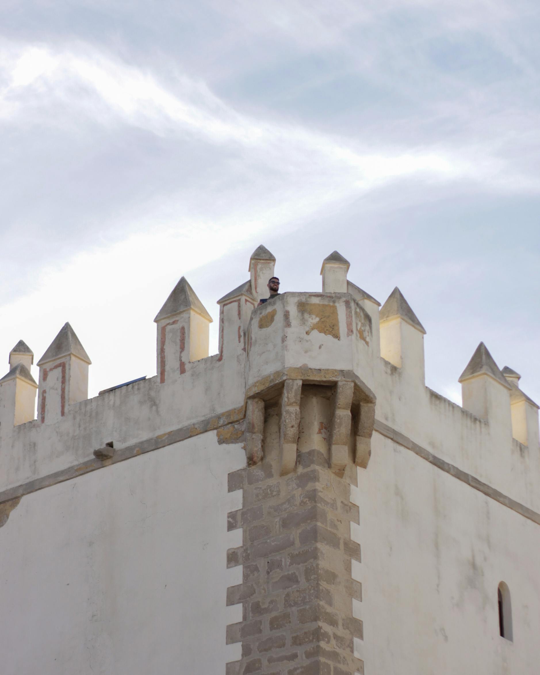 Fortification with Towers and Palm Trees · Free Stock Photo