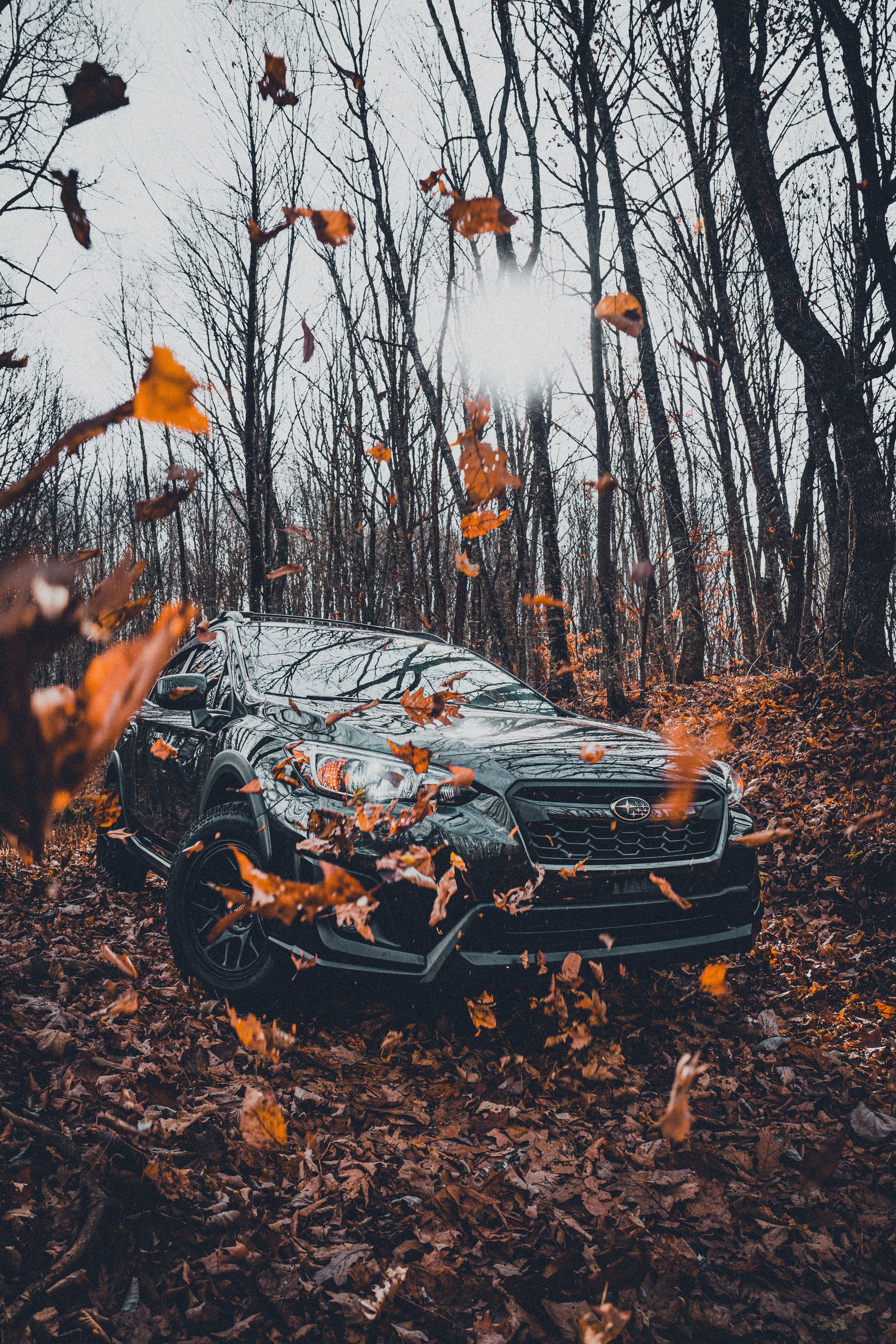 Orange Leaves Falling around Car Parked in Forest · Free Stock Photo