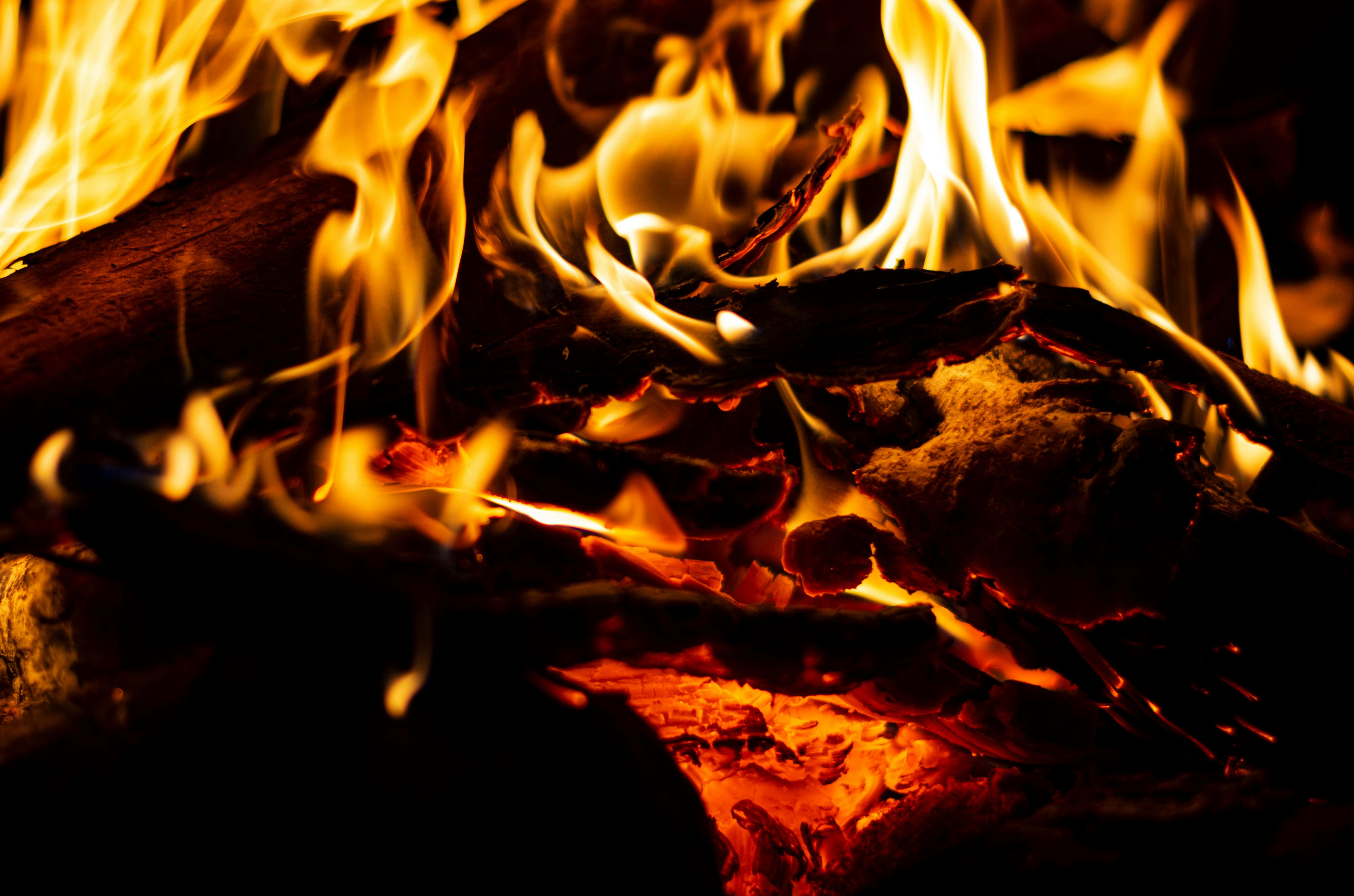 Photo of Bonfire · Free Stock Photo