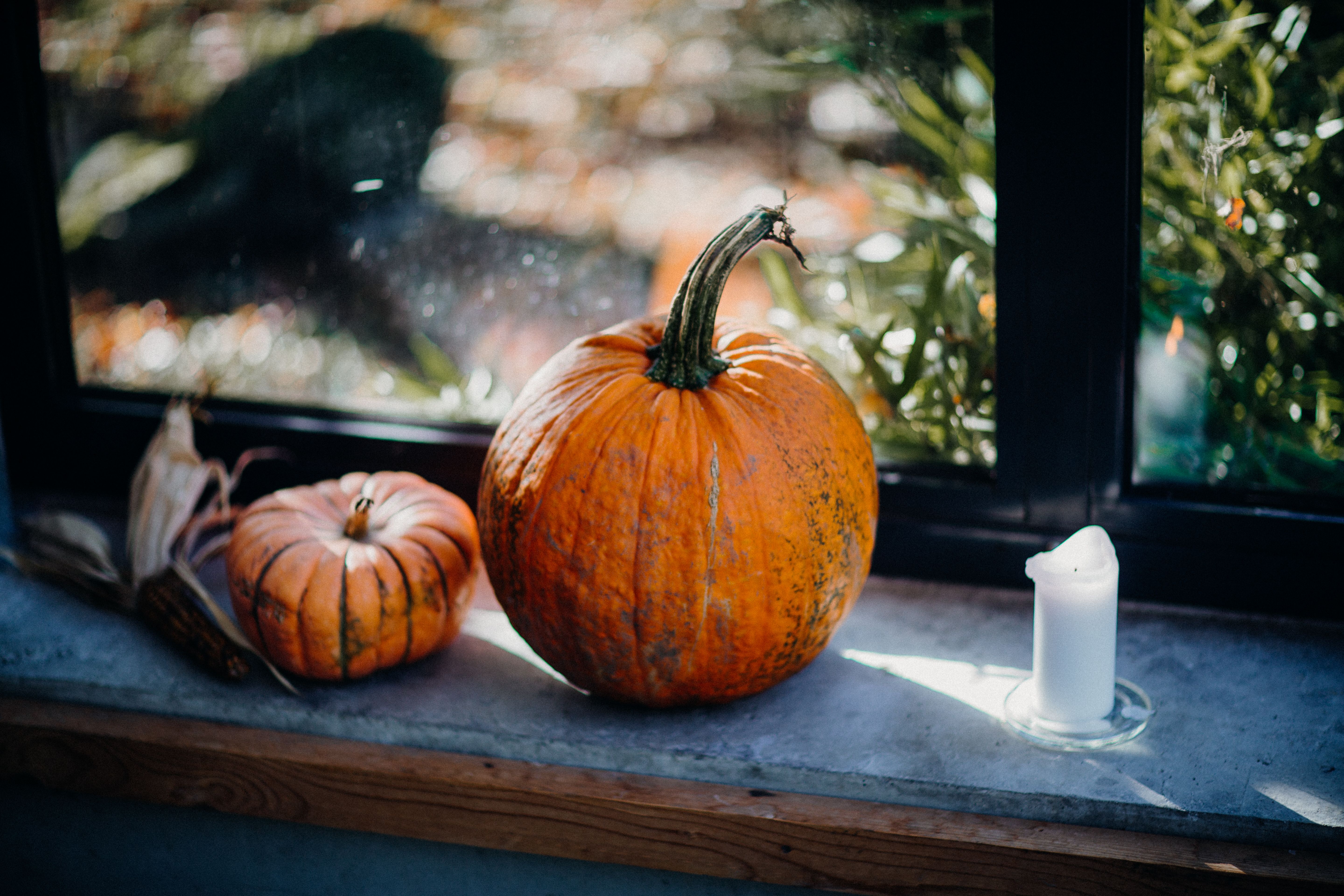 Close-Up Shot of Two Orange Pumpkins on Window · Free Stock Photo