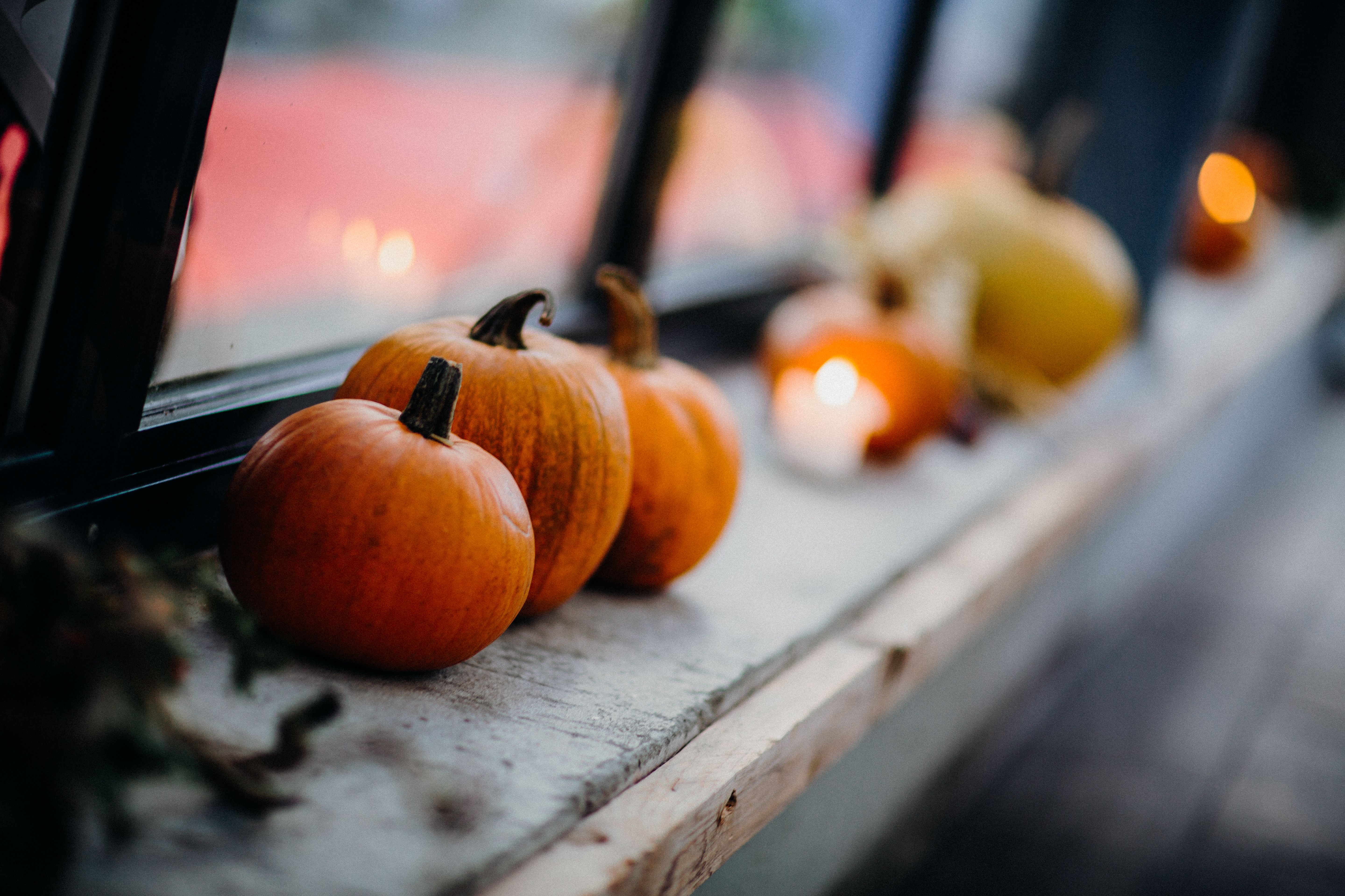 Pumpkins on a Window Sill · Free Stock Photo