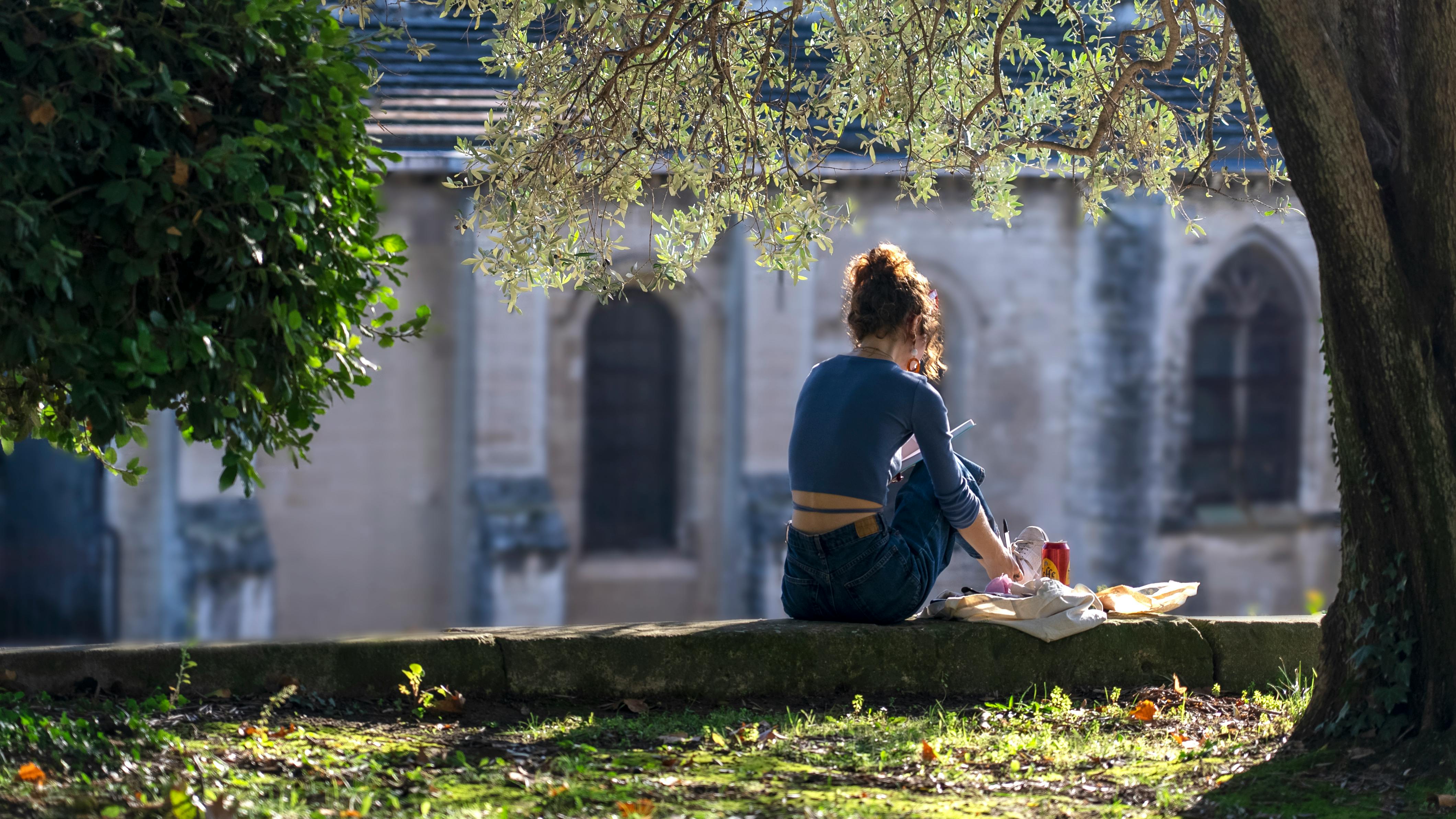 A Woman Sitting on a Tree Branch · Free Stock Photo