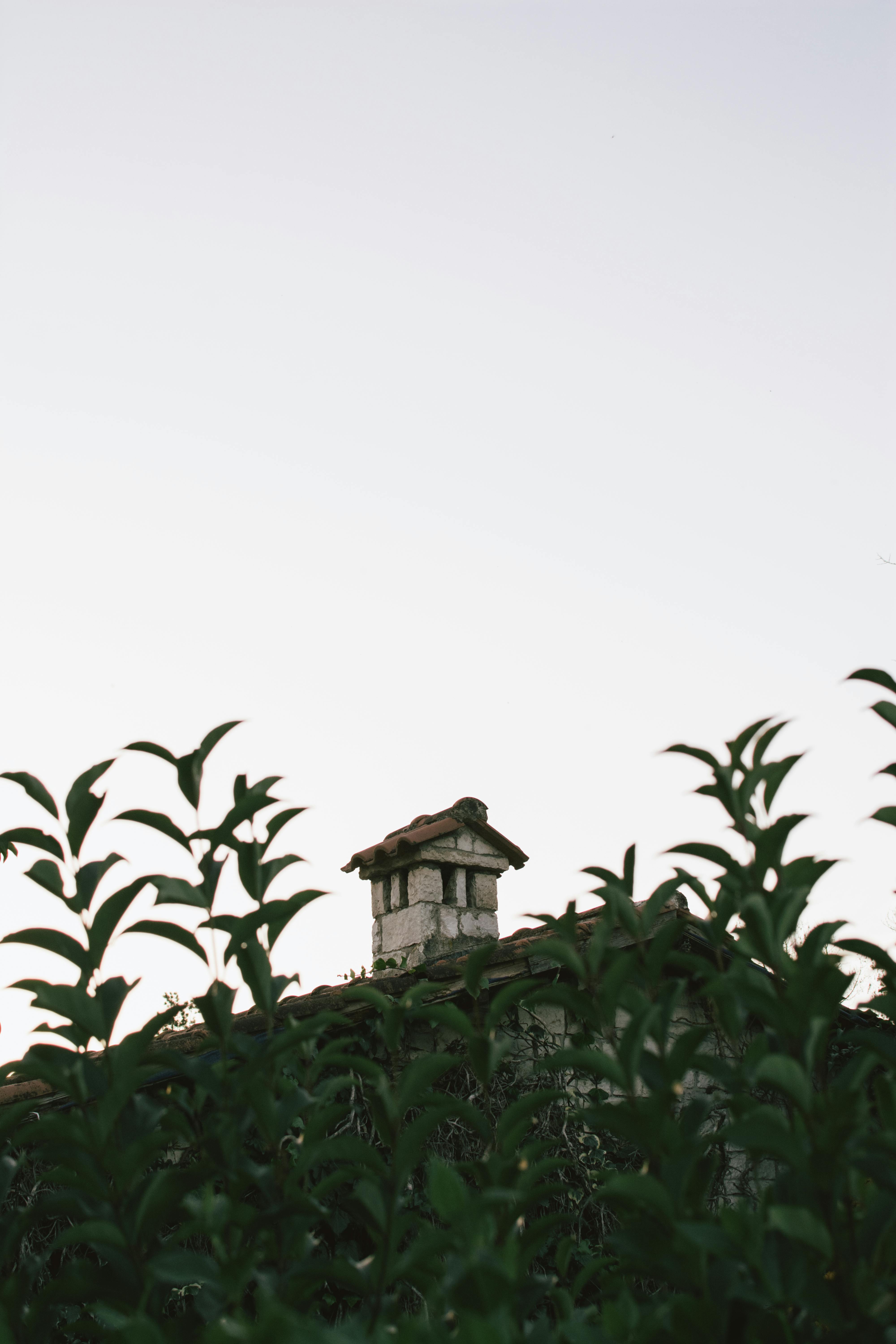 Bird Castle And Garden Photos, Download The BEST Free Bird Castle And ...