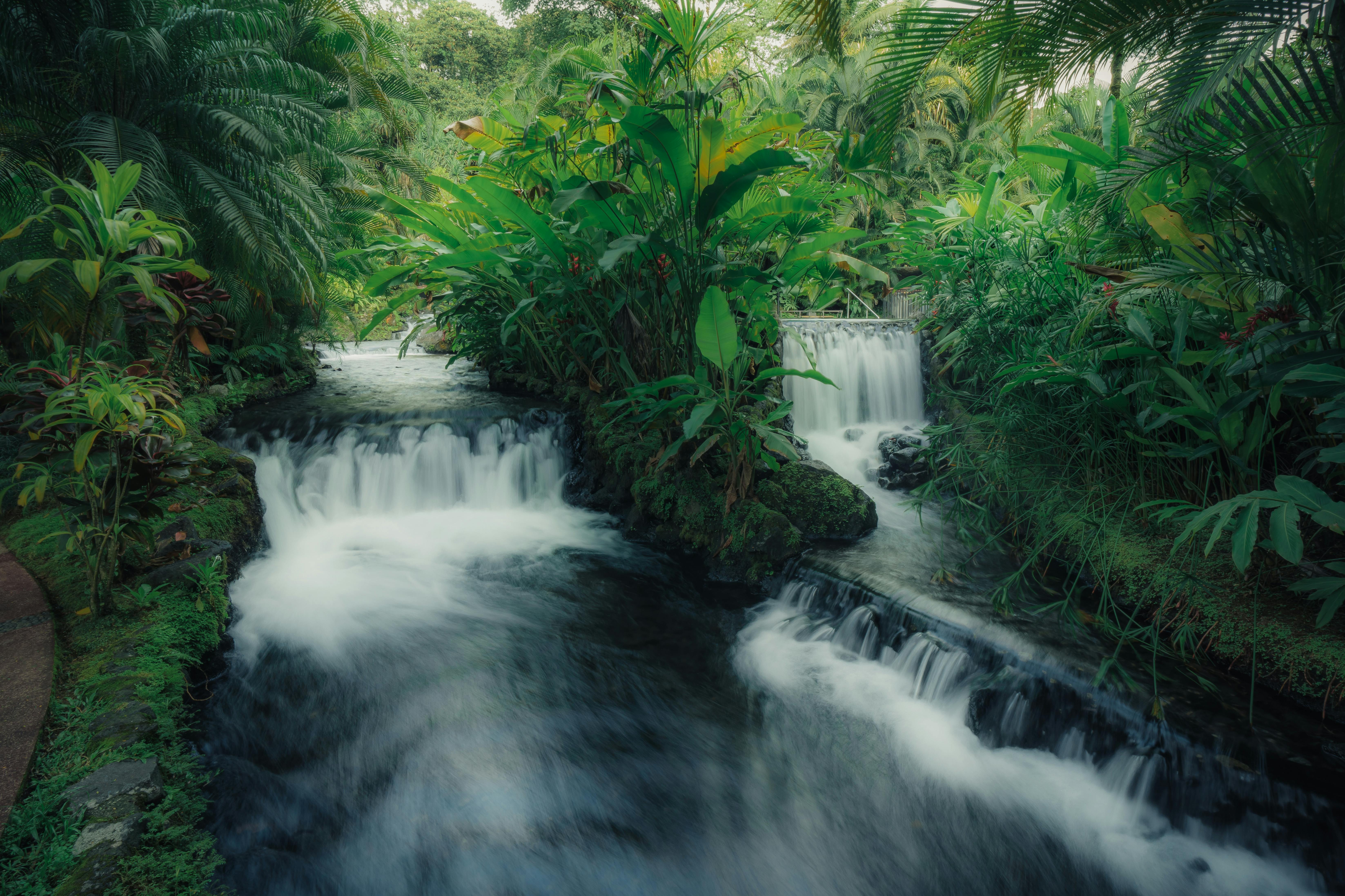 View of a Waterfall in a Forest · Free Stock Photo