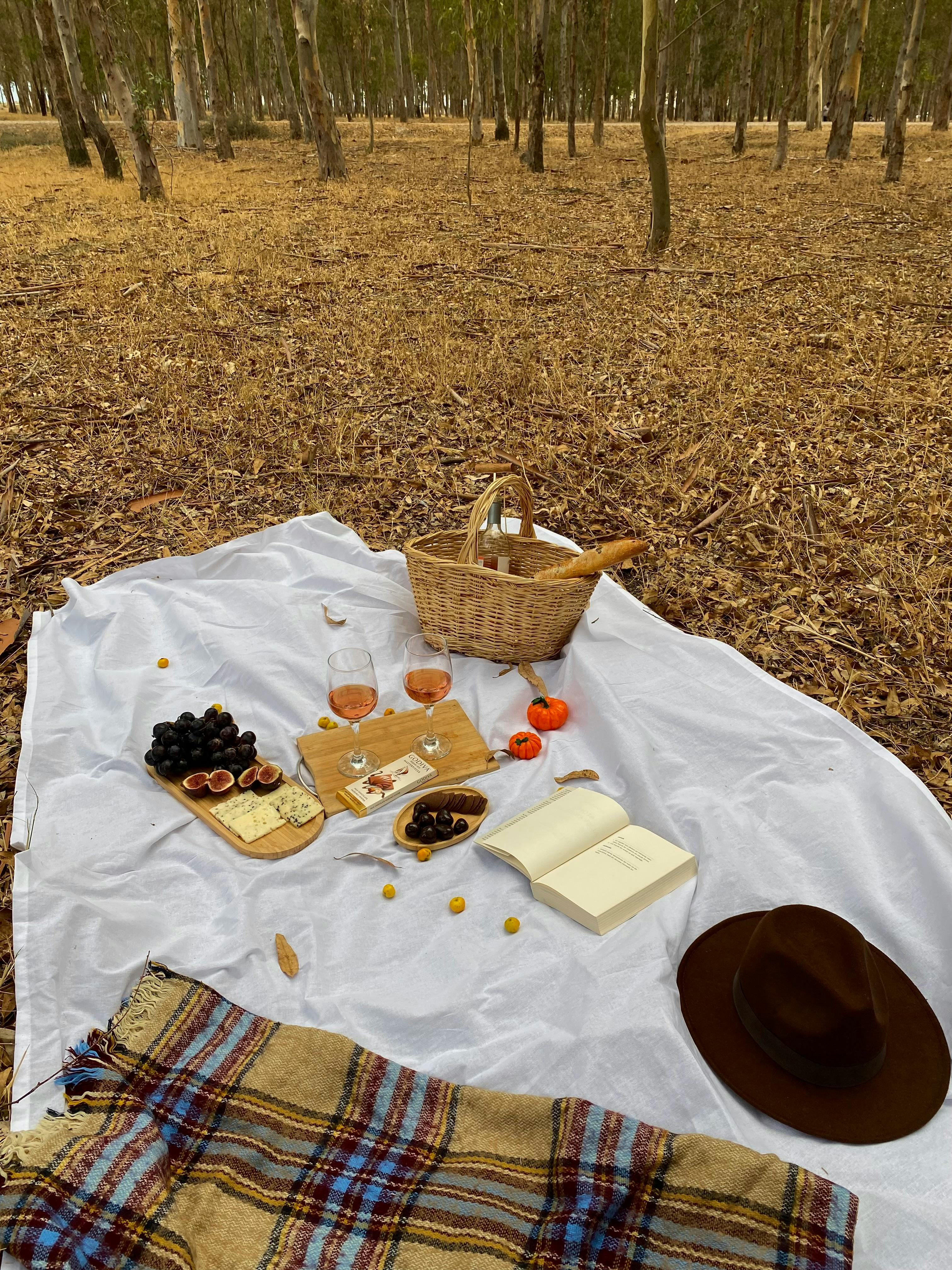 Picnic in Forest · Free Stock Photo