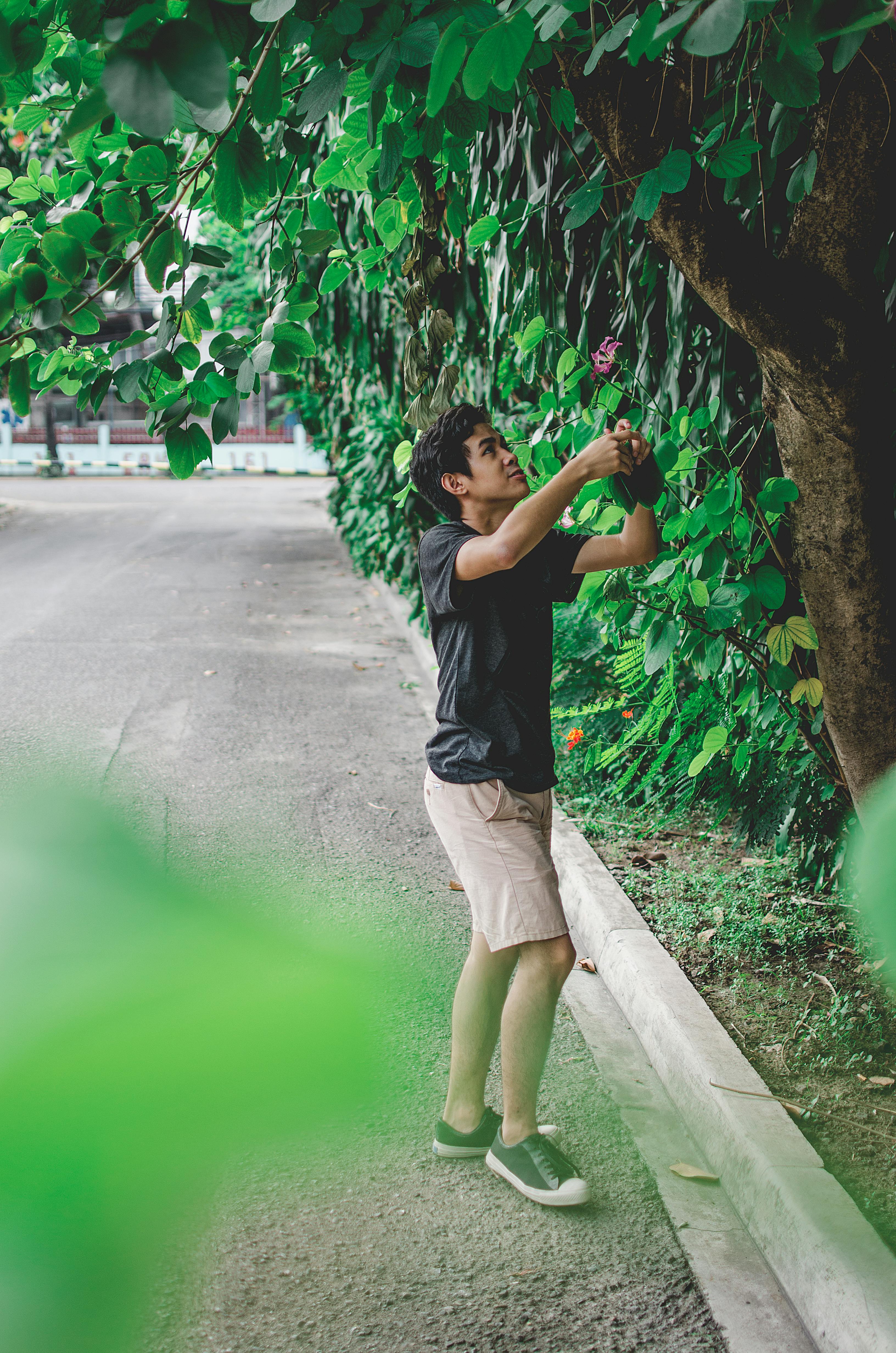 Man Standing Under Tree · Free Stock Photo