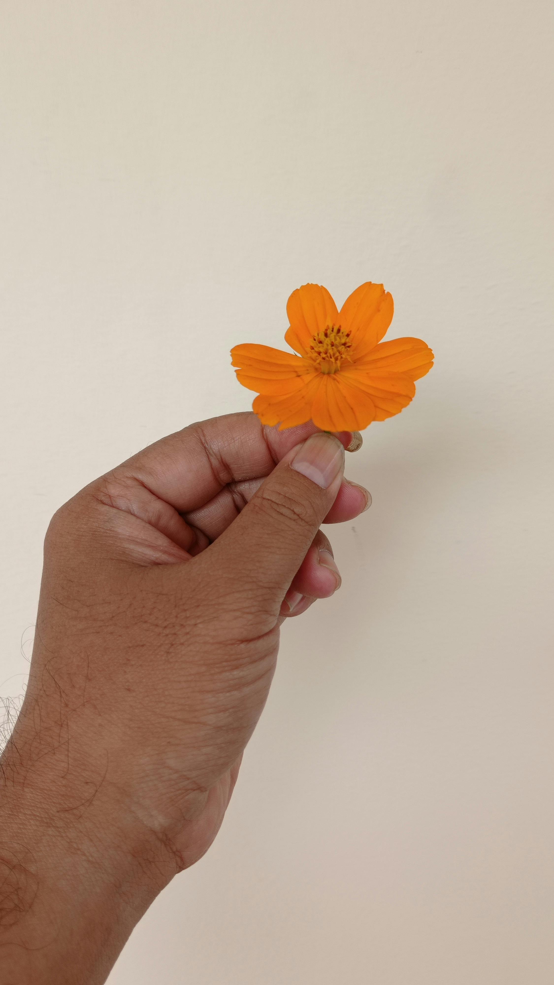 Anton Tezar - Photography