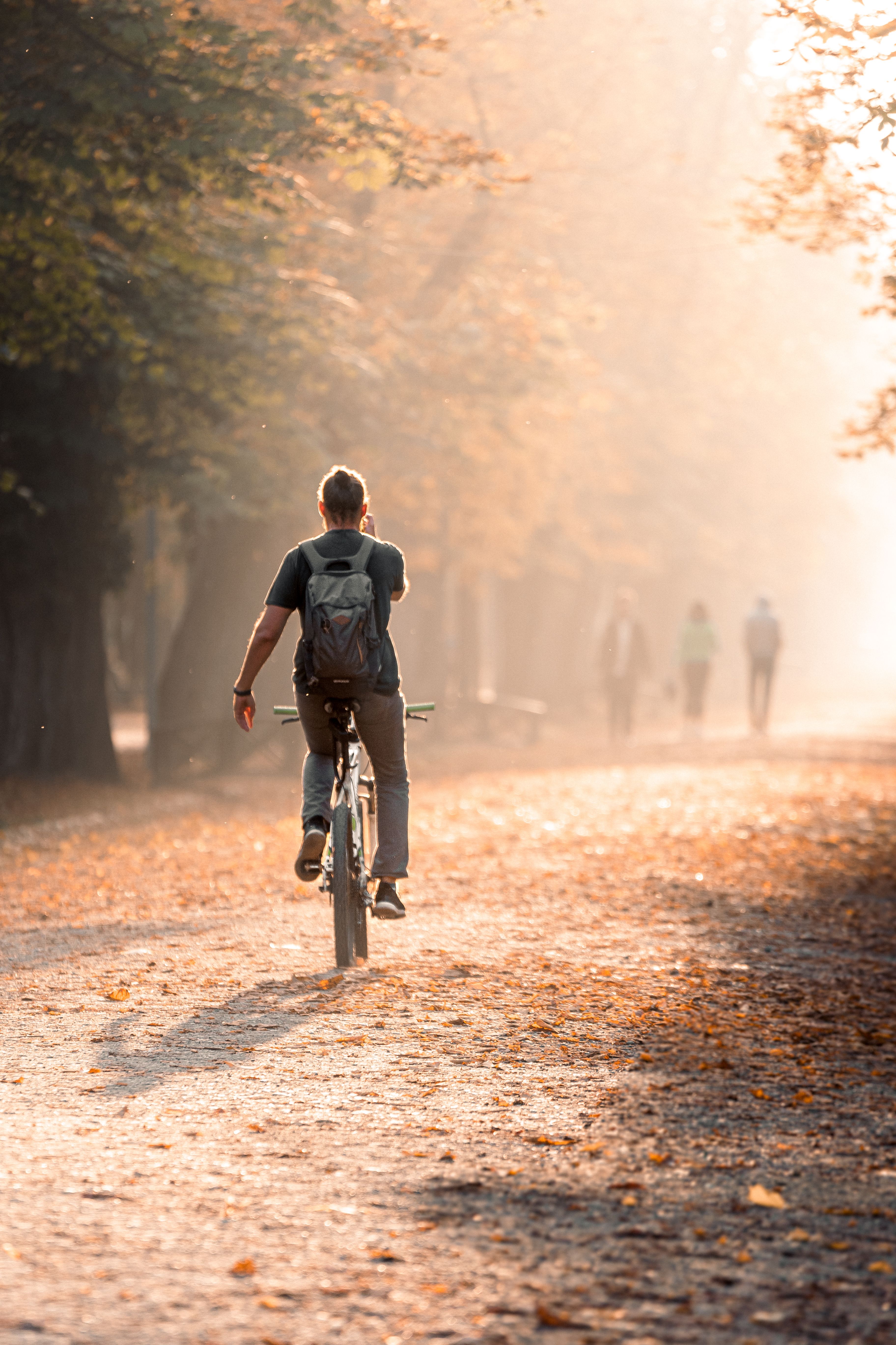 Back View of a Person Riding Bicycle · Free Stock Photo