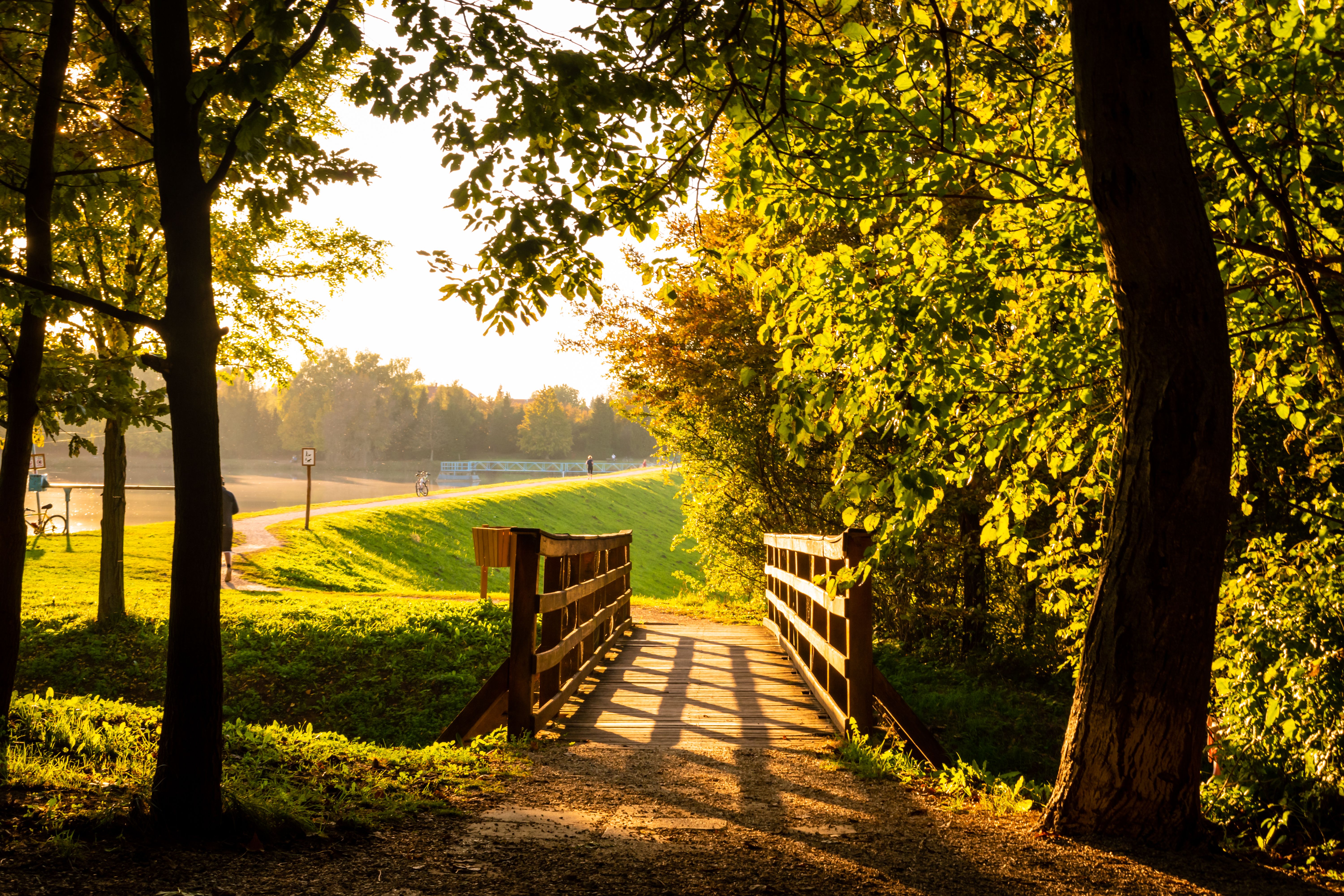 Romantic Nature Bridge Background