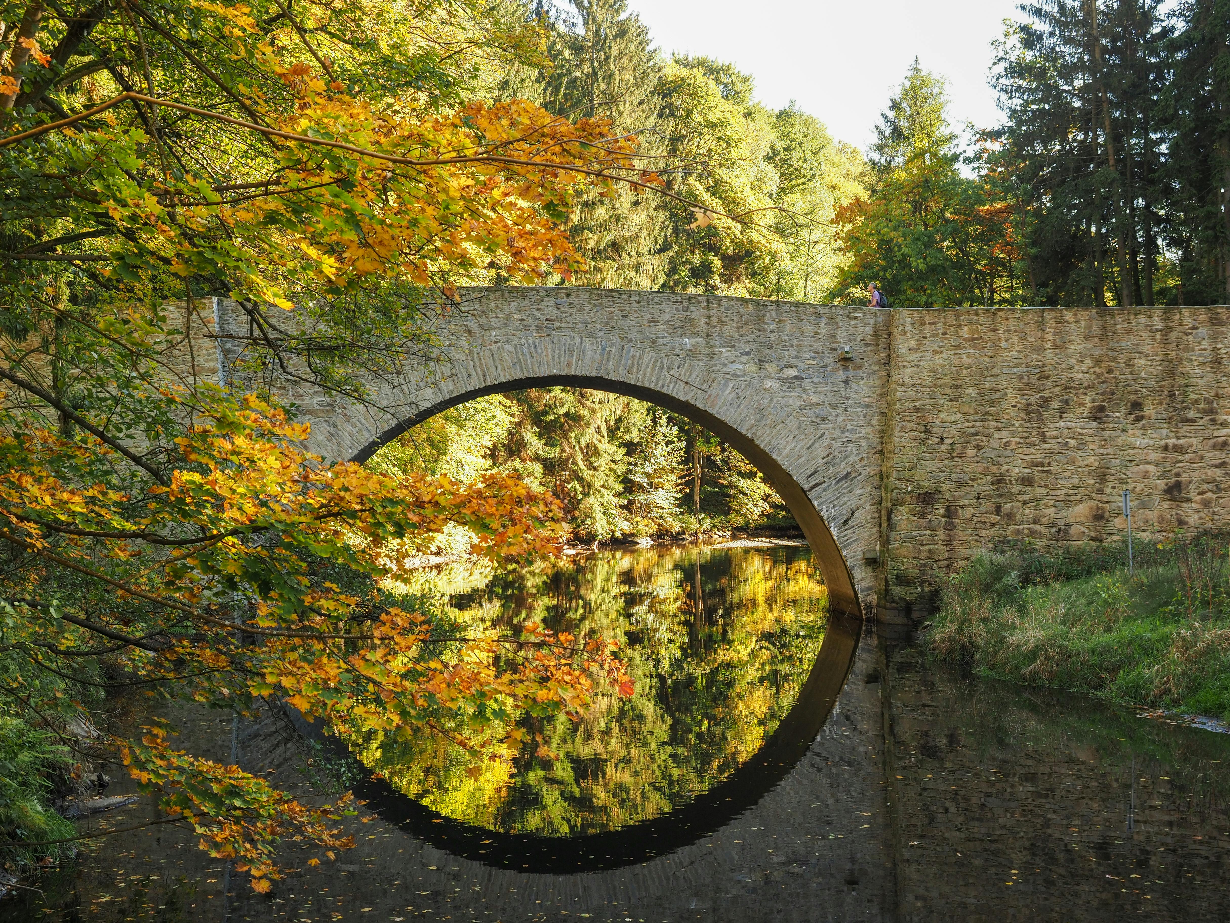 Concrete Bridge Over the River · Free Stock Photo