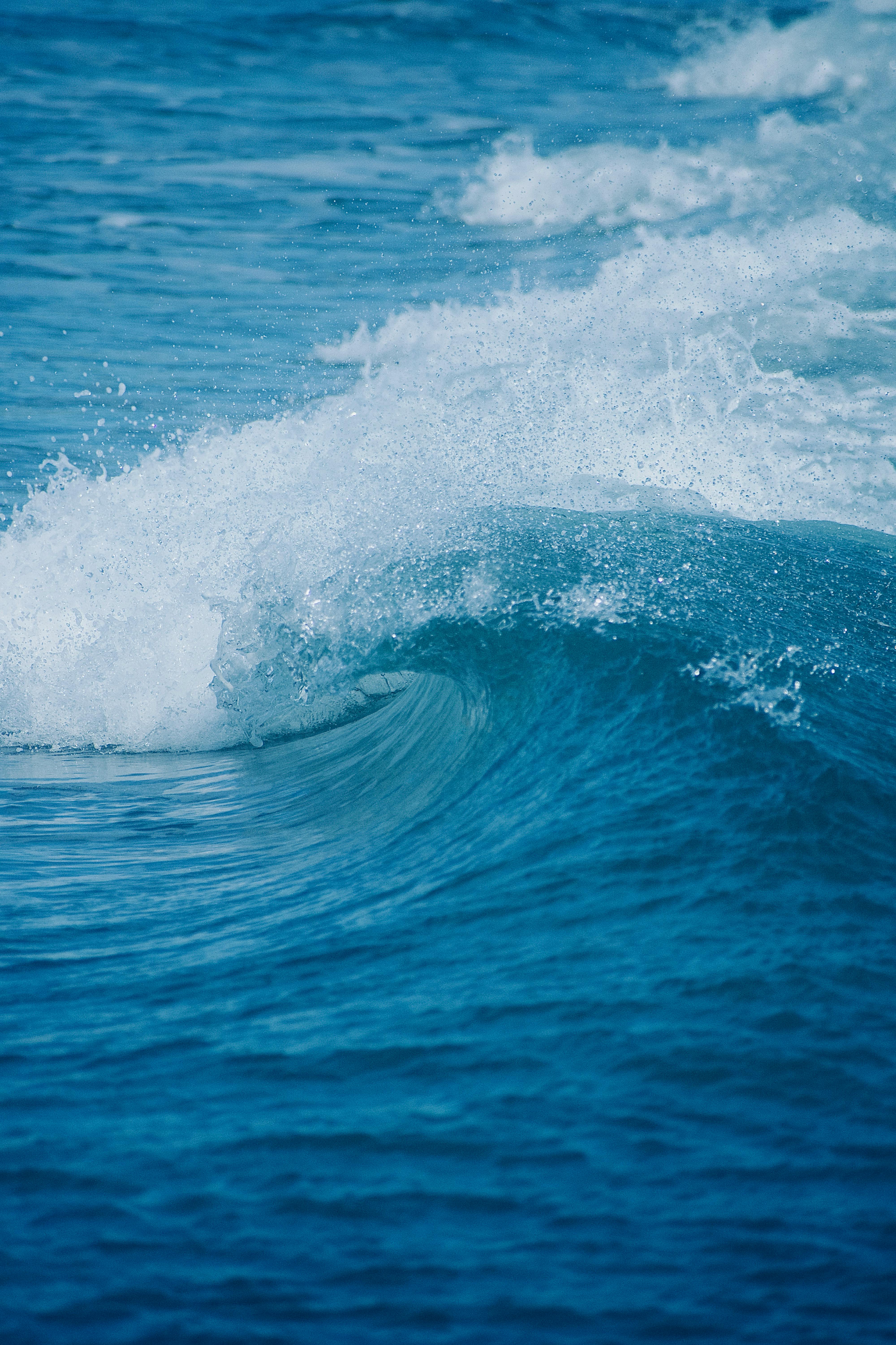 Blue Ocean Waves · Free Stock Photo