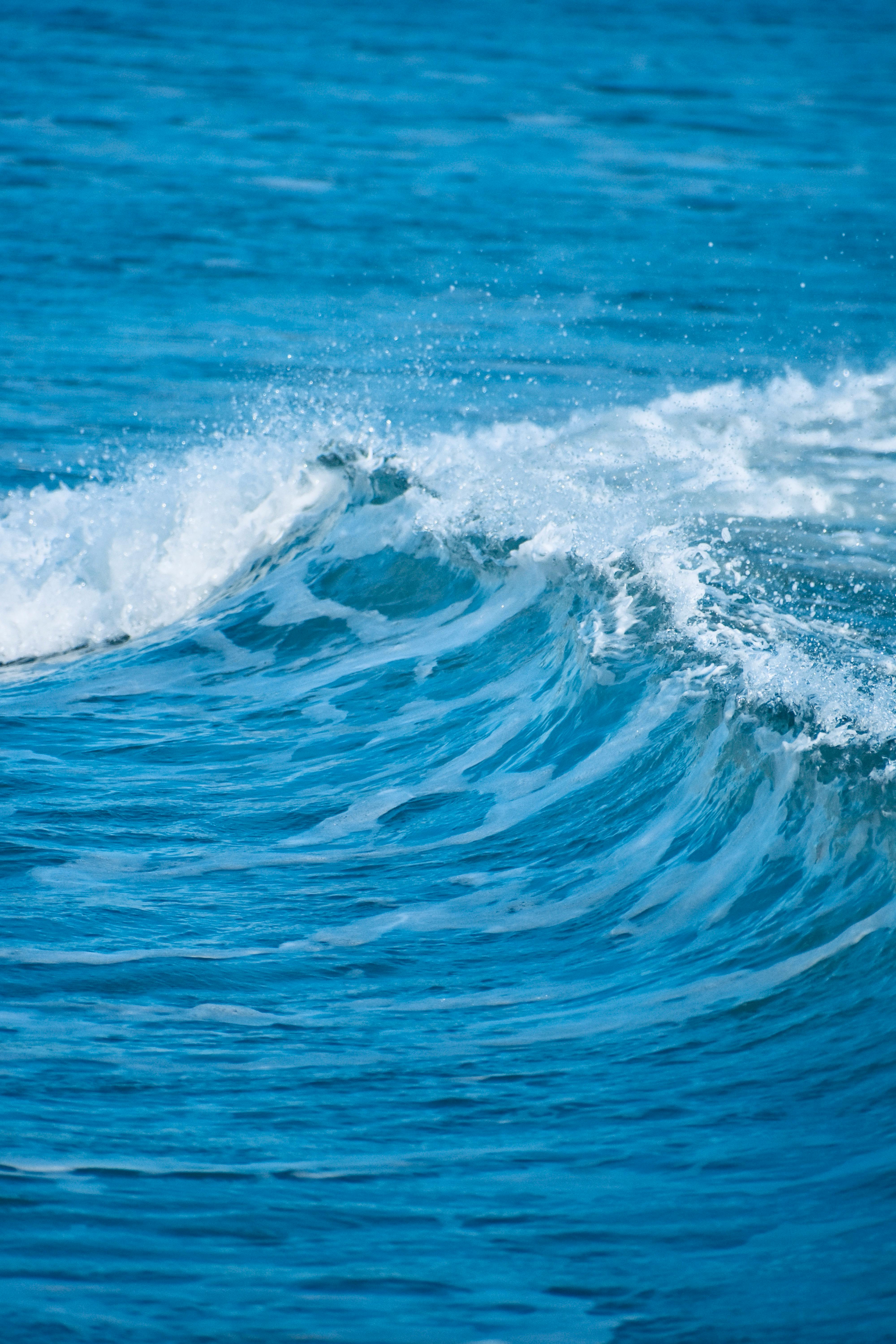 Ocean Wave in Close Up Shot · Free Stock Photo