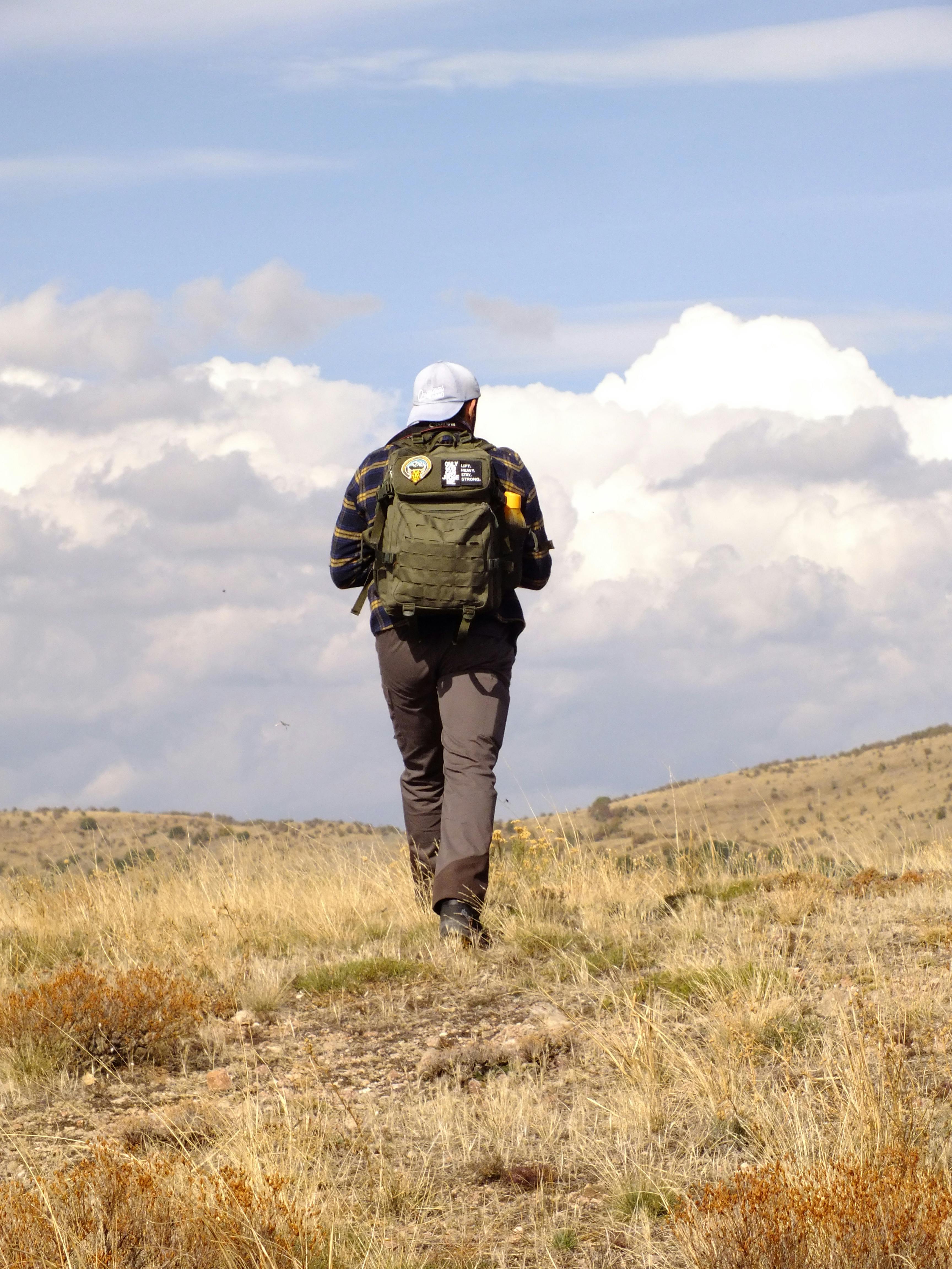Back View of People Hiking on Mountain · Free Stock Photo