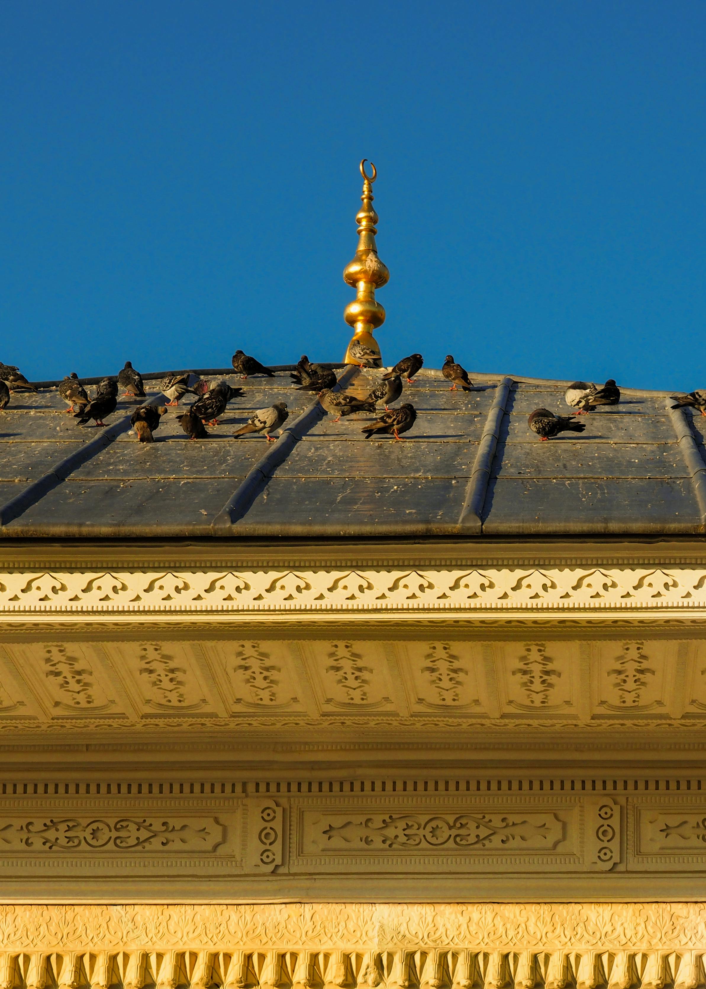 Build Mosque Photos, Download Free Build Mosque Stock Photos & HD Images