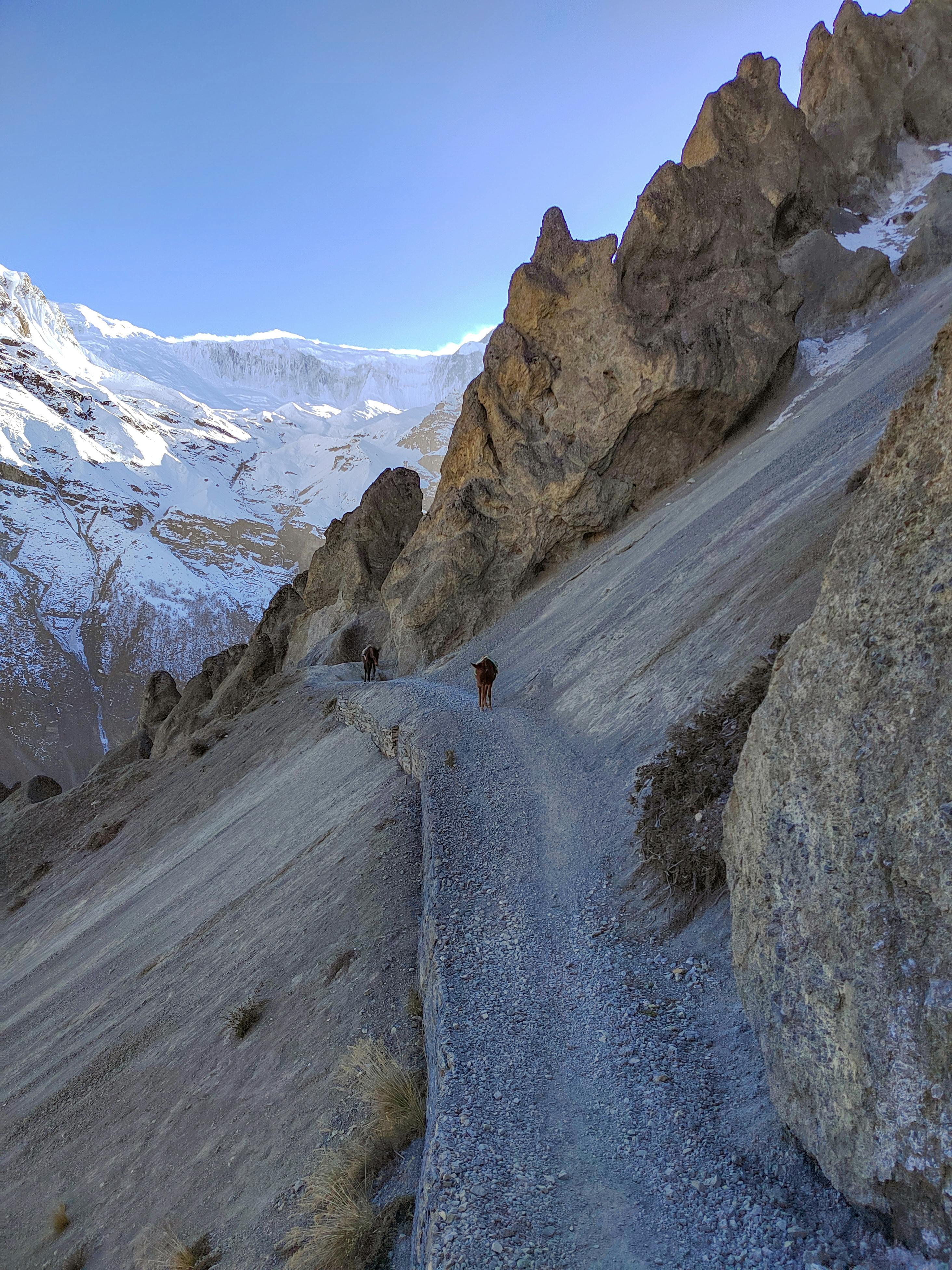 People Hiking in Steep Rocky Mountains · Free Stock Photo