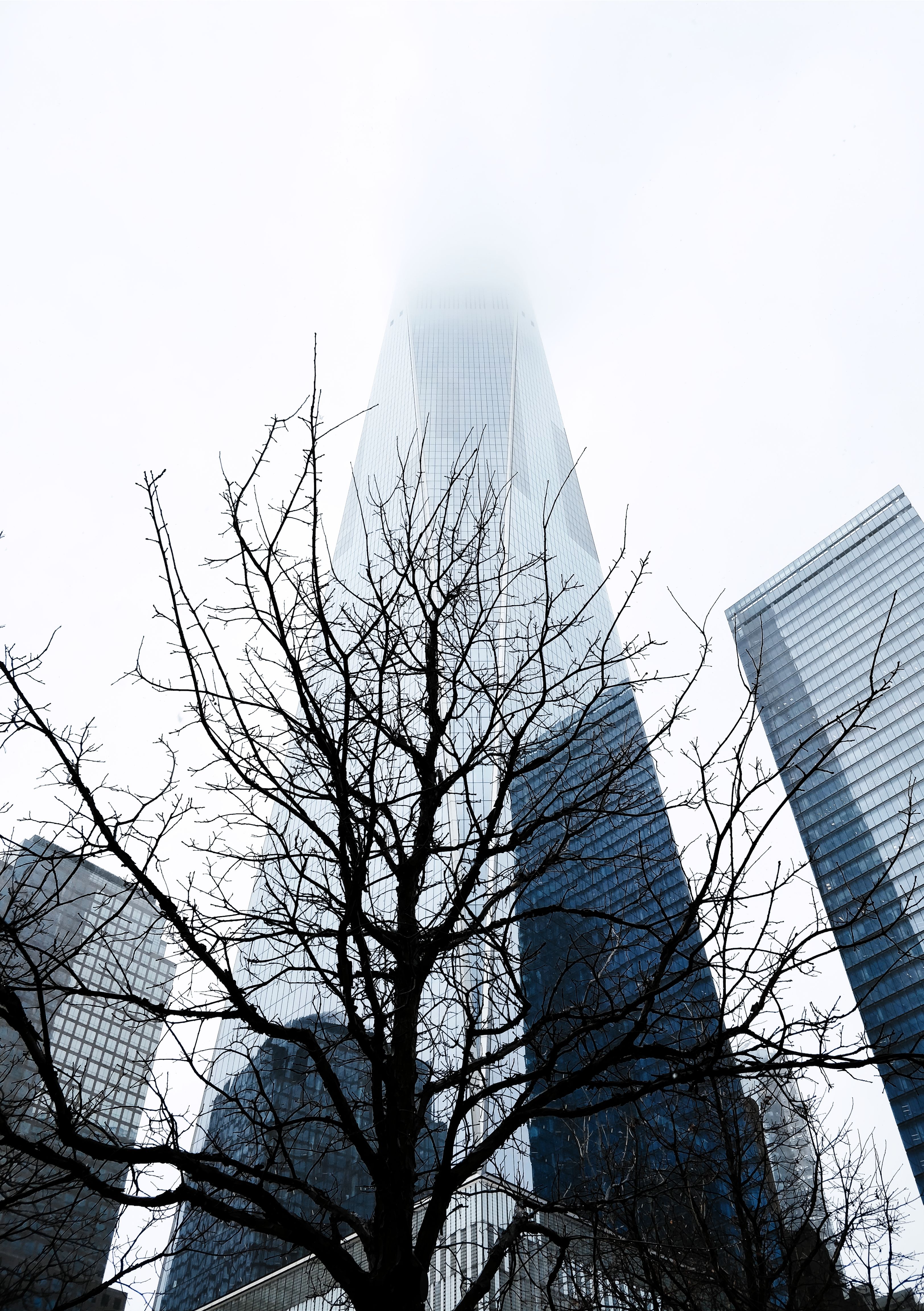 Low Angle Shot of a Tall Building · Free Stock Photo