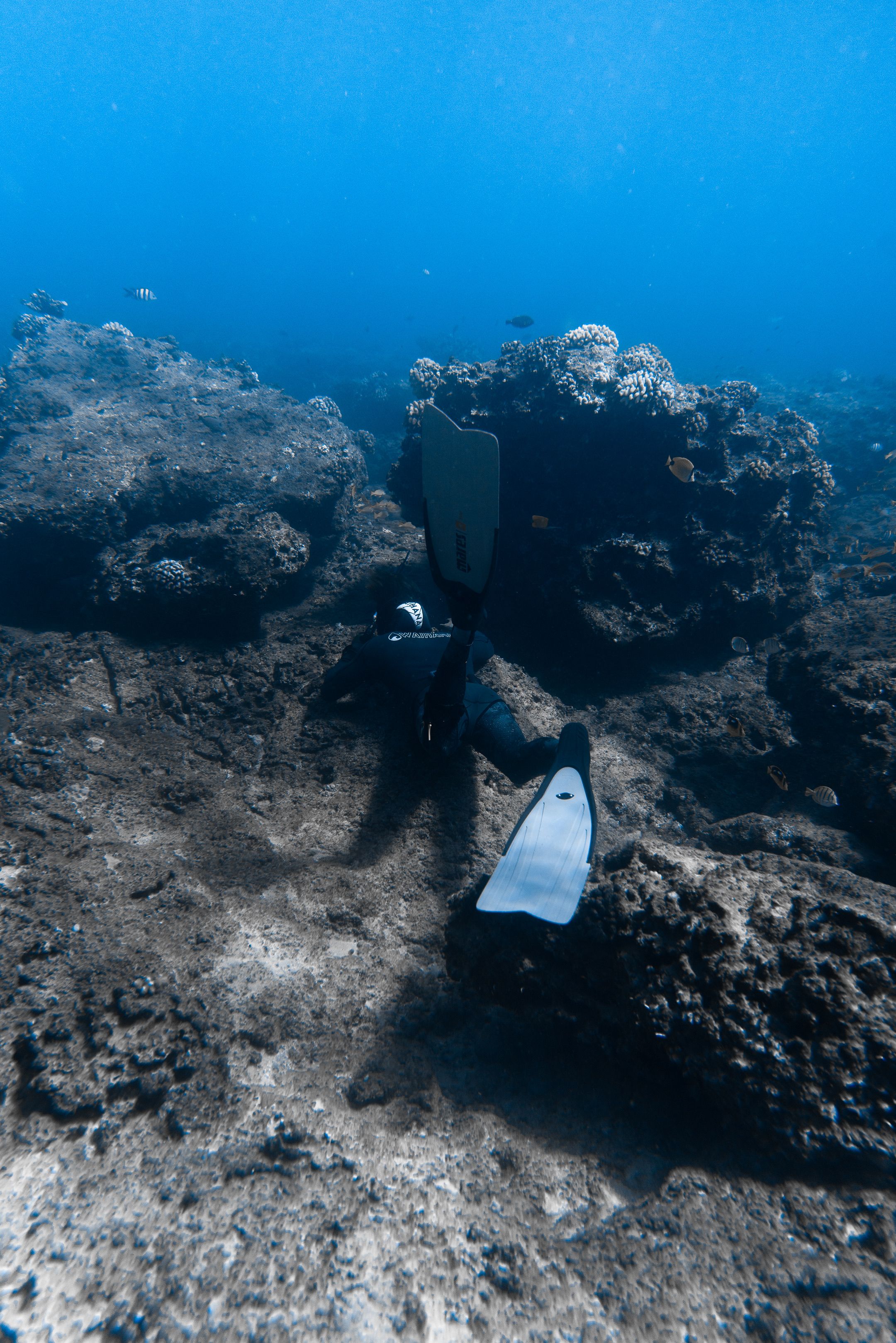 Photo of Person Scuba Diving Near Wreckage · Free Stock Photo