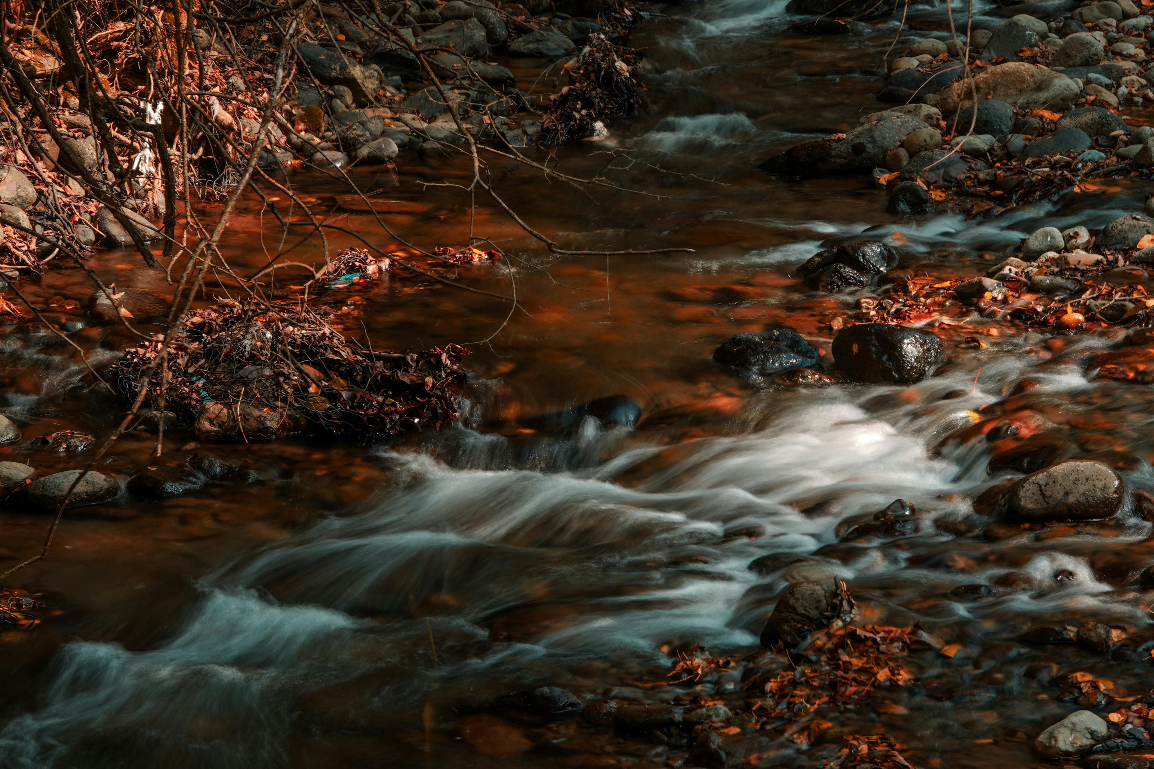 Photo of a Rushing River · Free Stock Photo