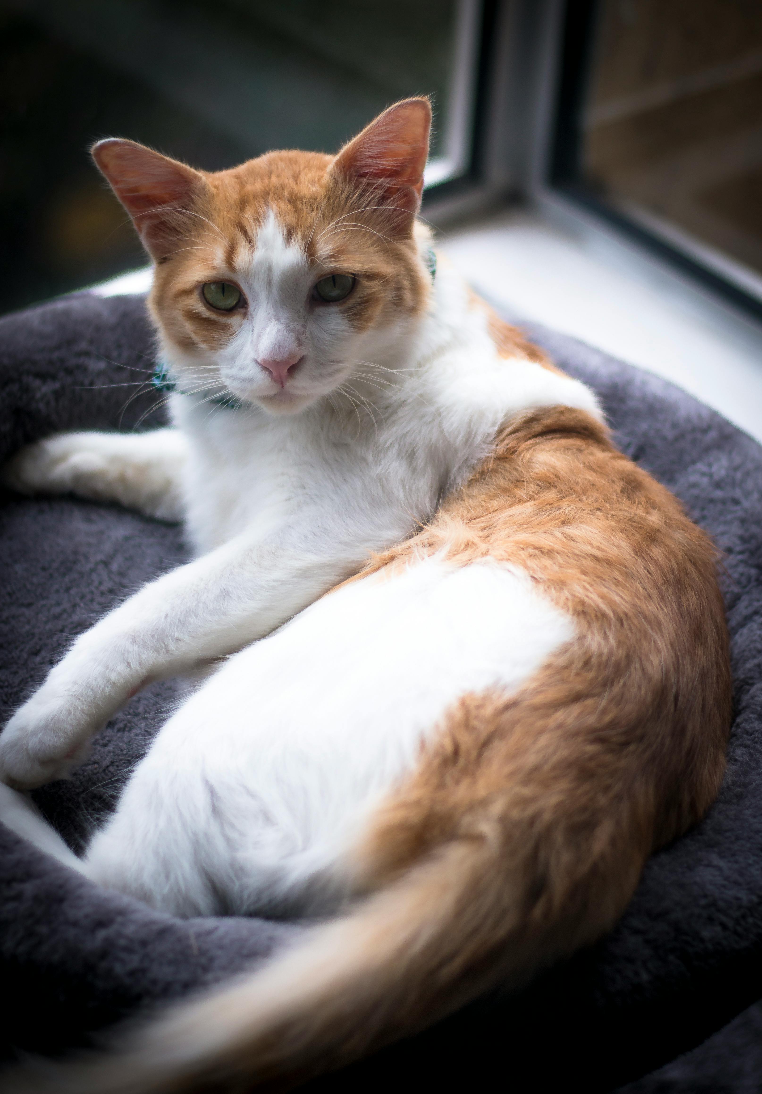 Matthew Ang – Fotografia