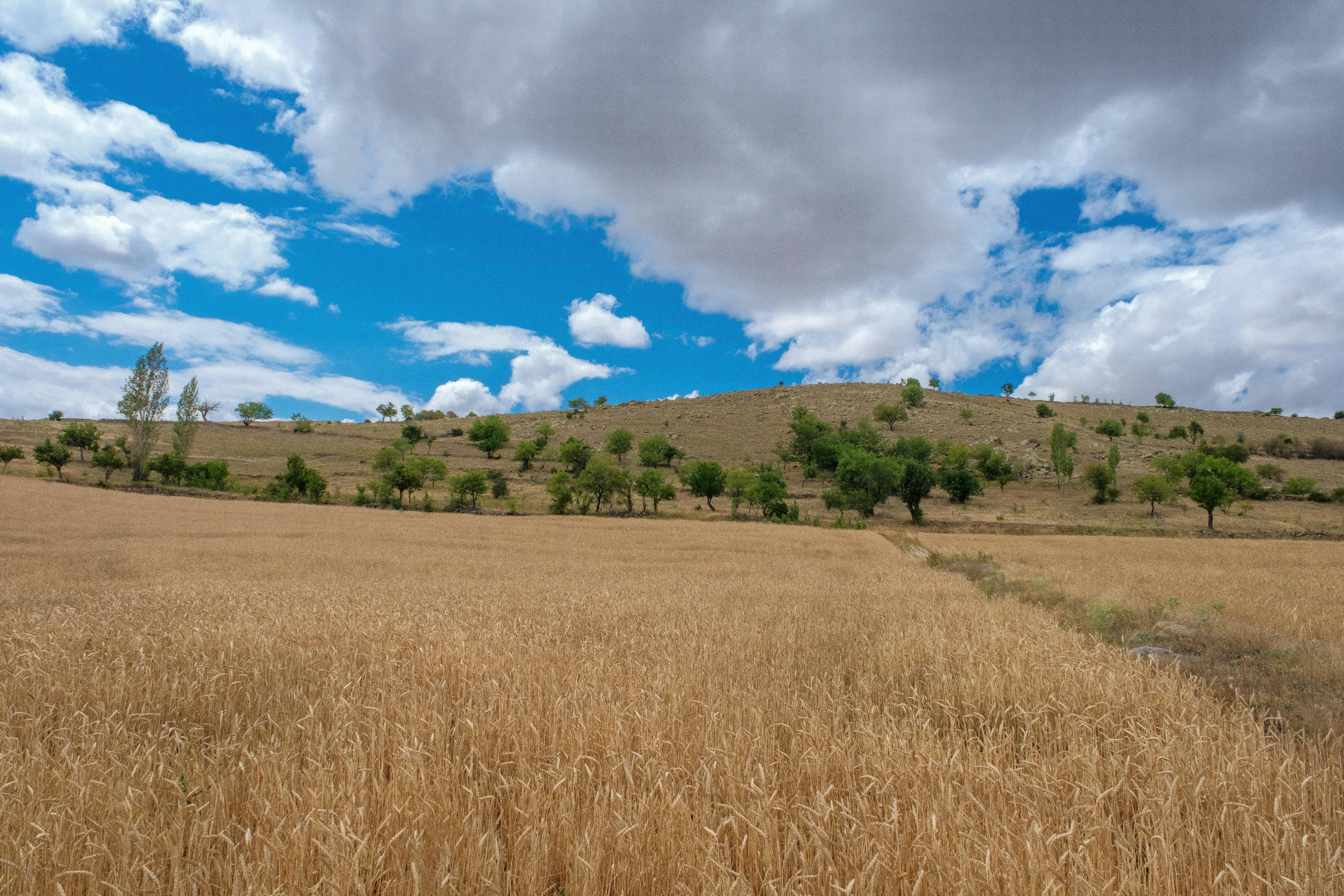 Field and Hill behind · Free Stock Photo