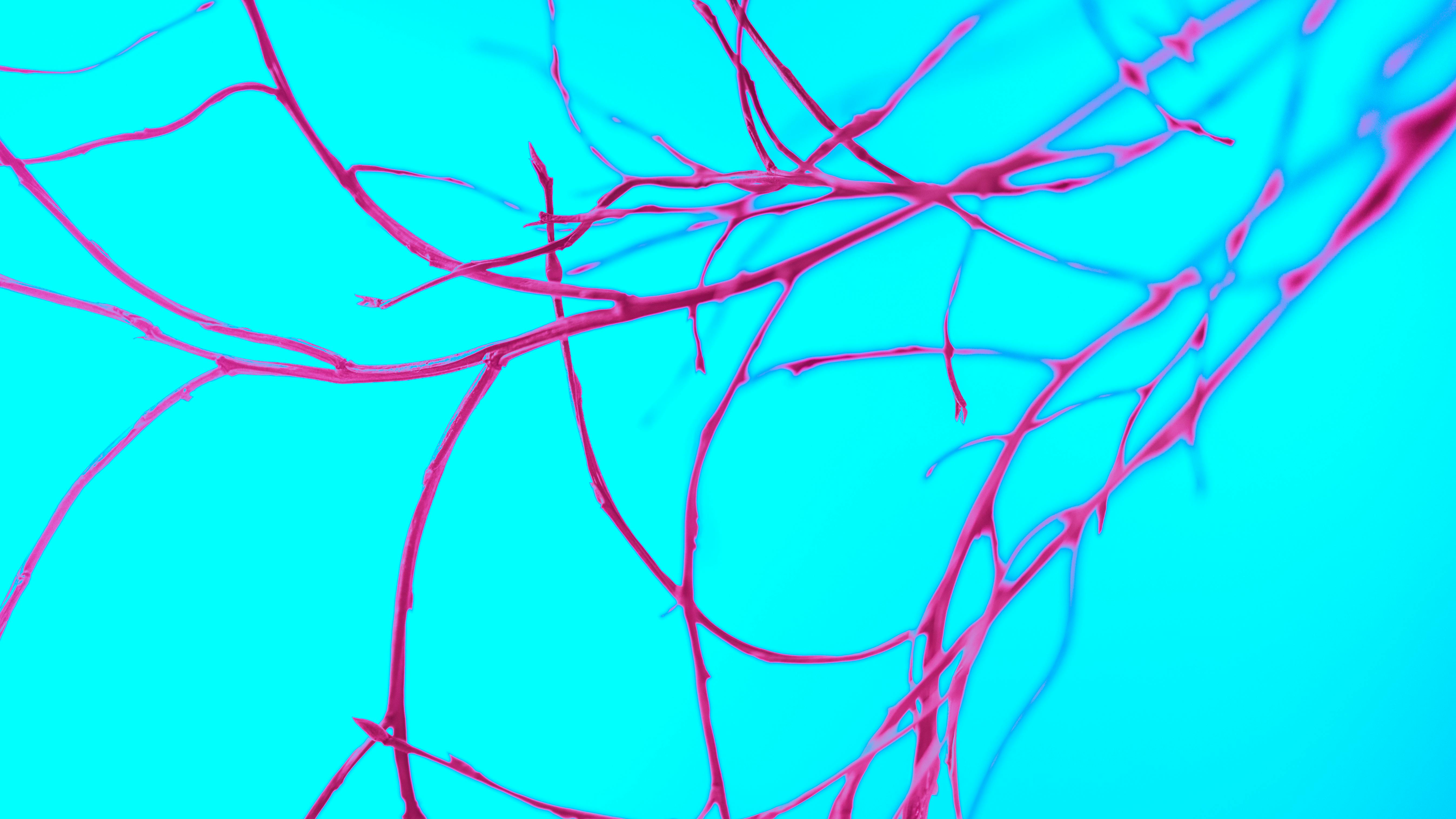 Grass Vains Photos, Download The BEST Free Grass Vains Stock Photos ...