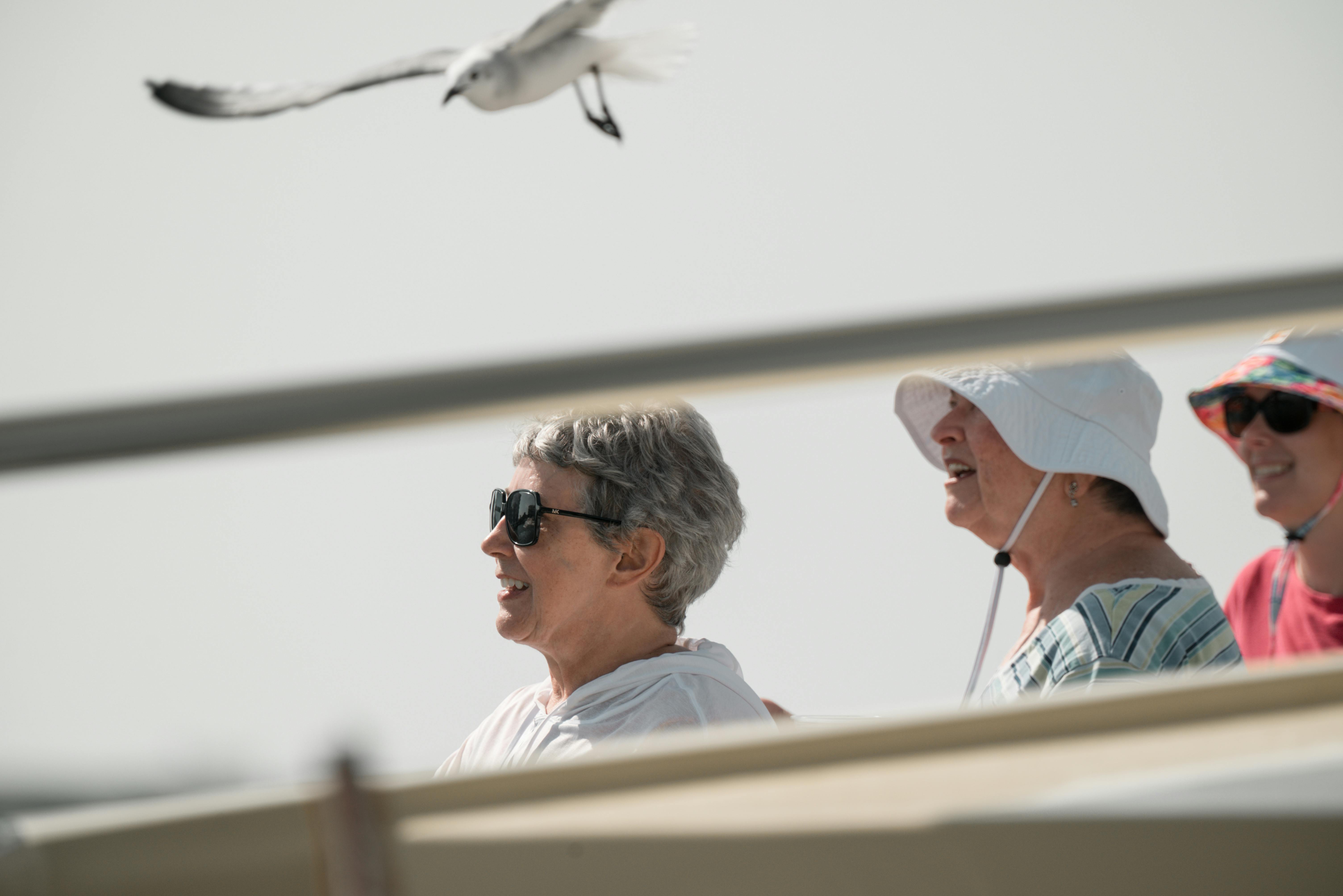 Seagull Flying over Women · Free Stock Photo