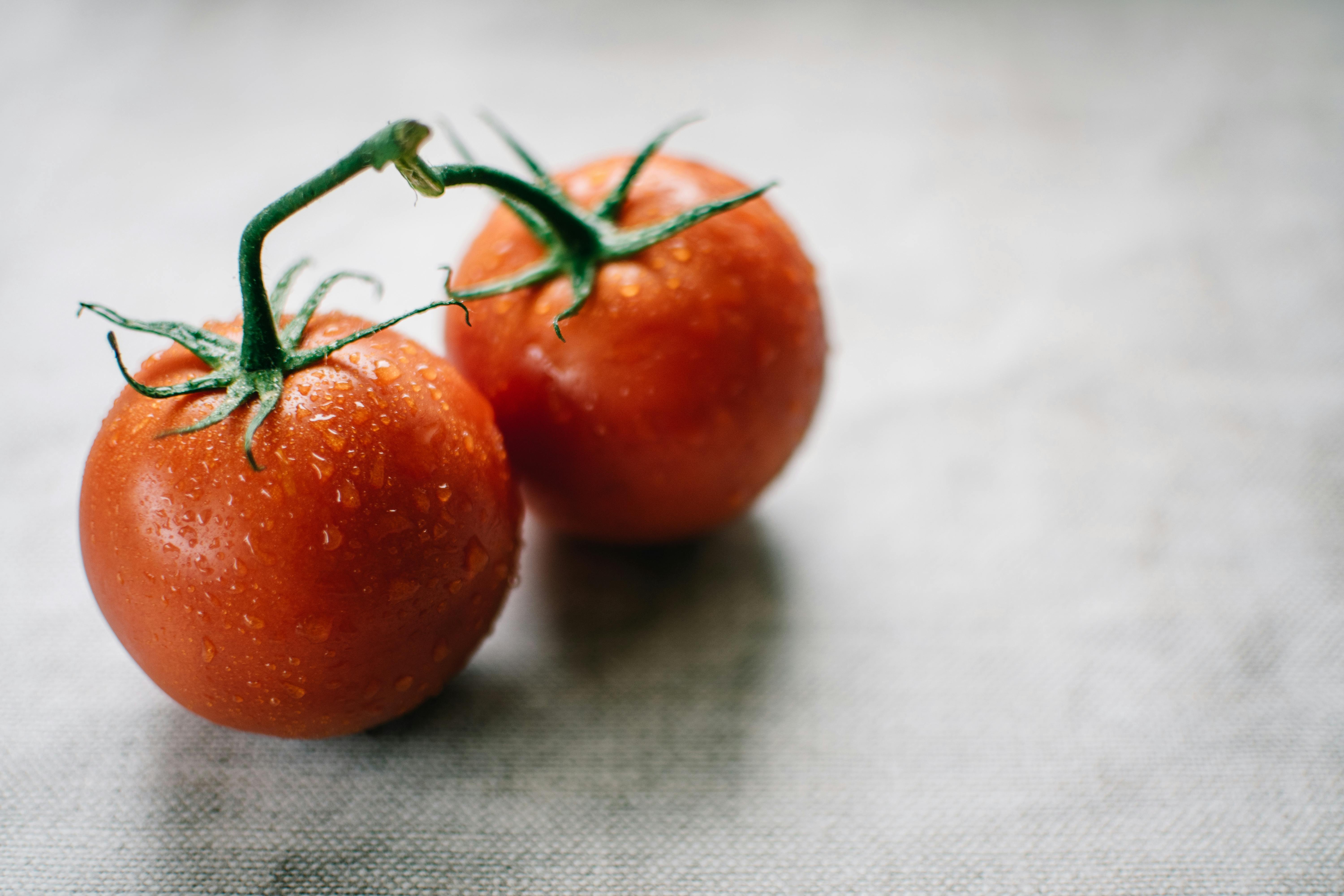 Two Tomatoes · Free Stock Photo
