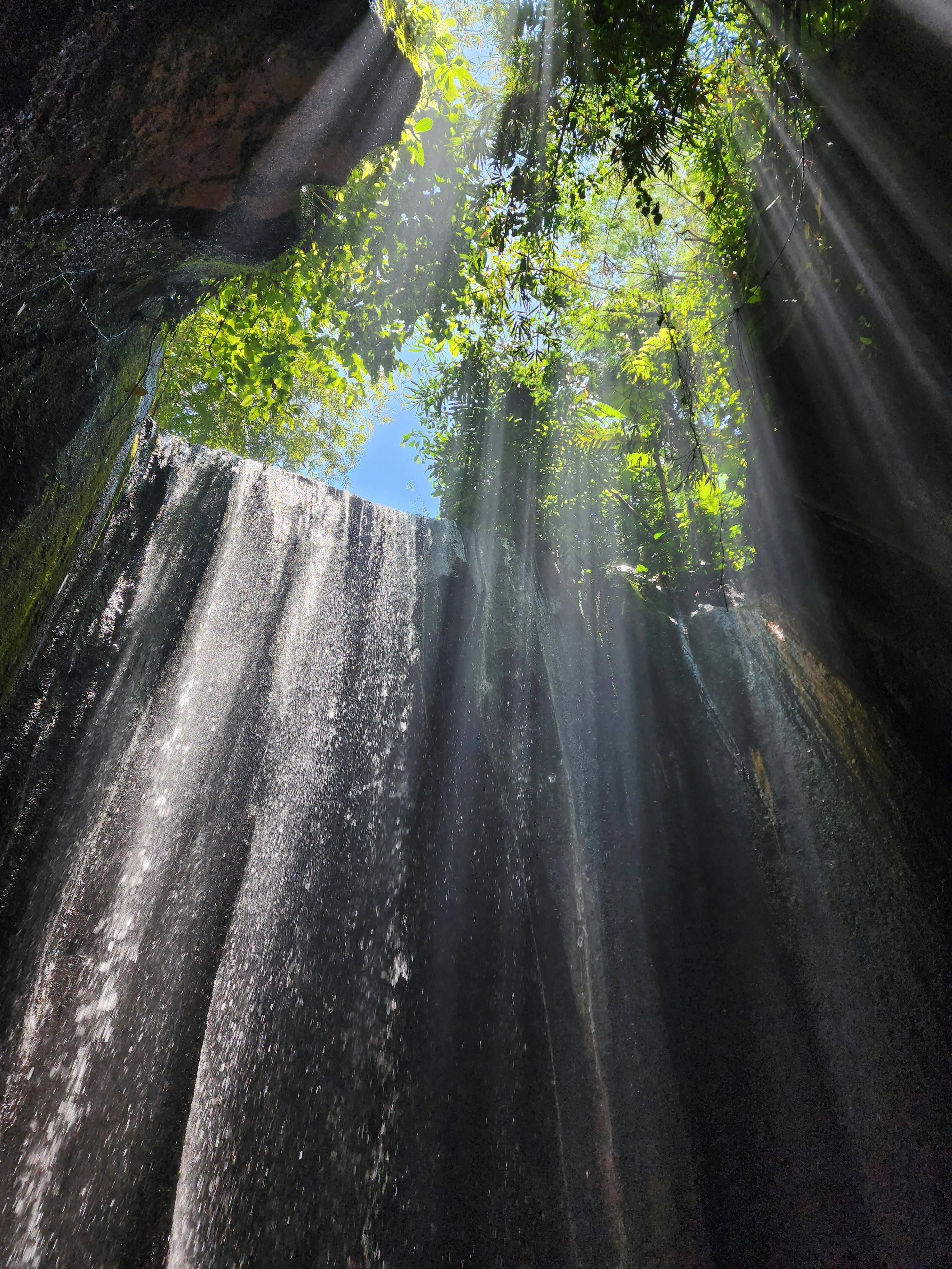 Waterfalls Under Tall Trees · Free Stock Photo