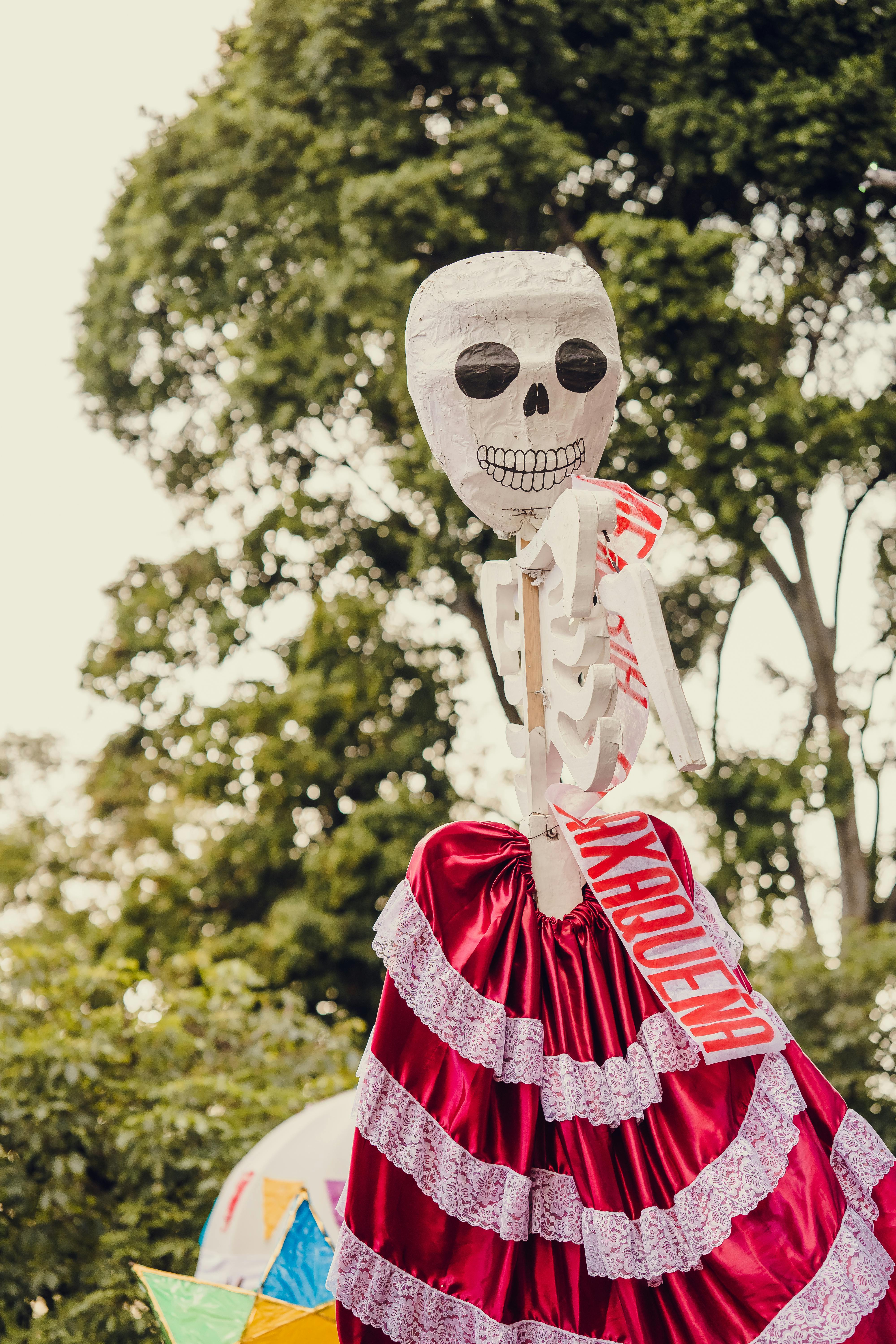 Skull Puppet Photos, Download The BEST Free Skull Puppet Stock Photos ...